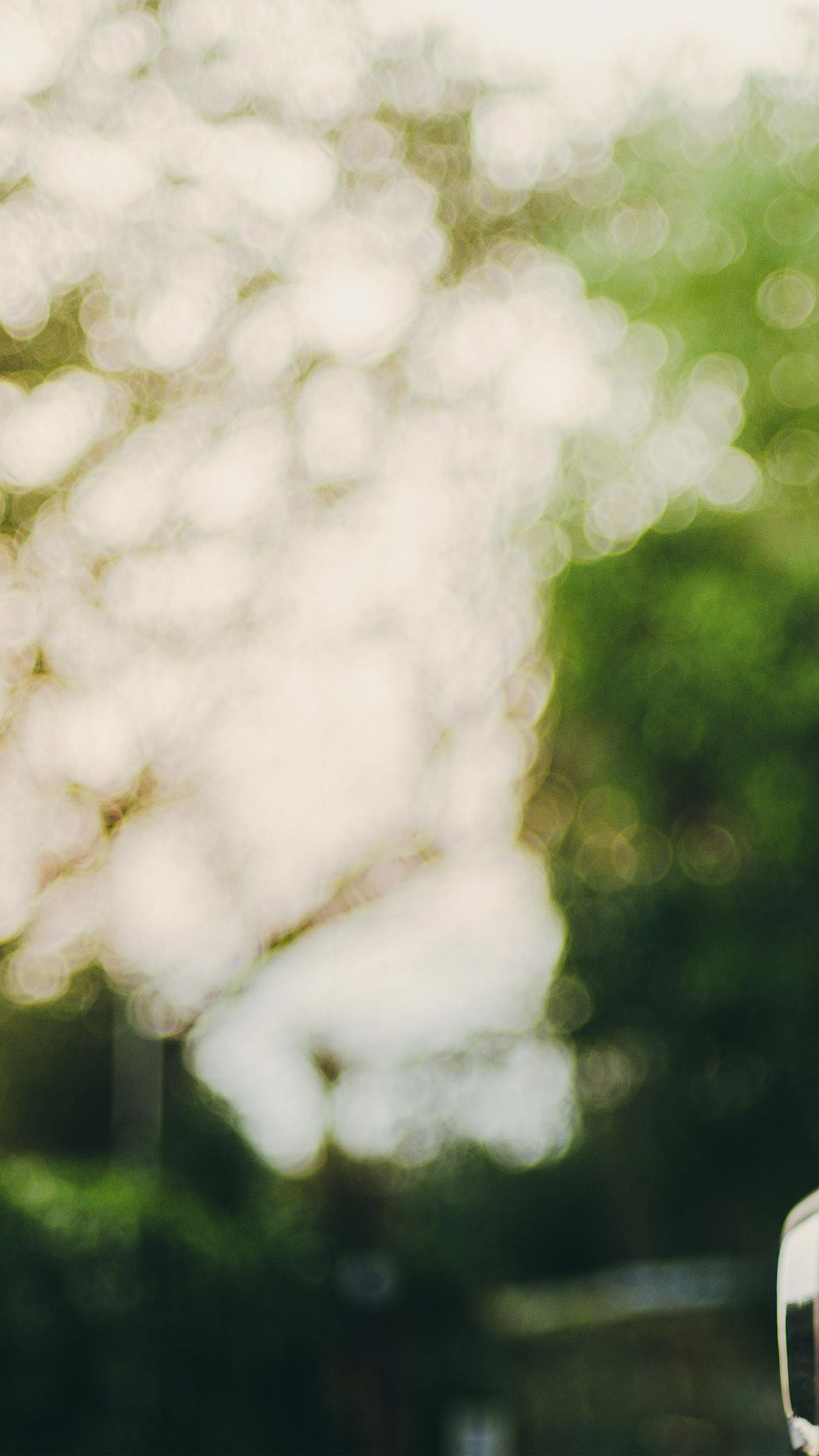 Android Full HD Blur Nature Wallpapers - Wallpaper Cave