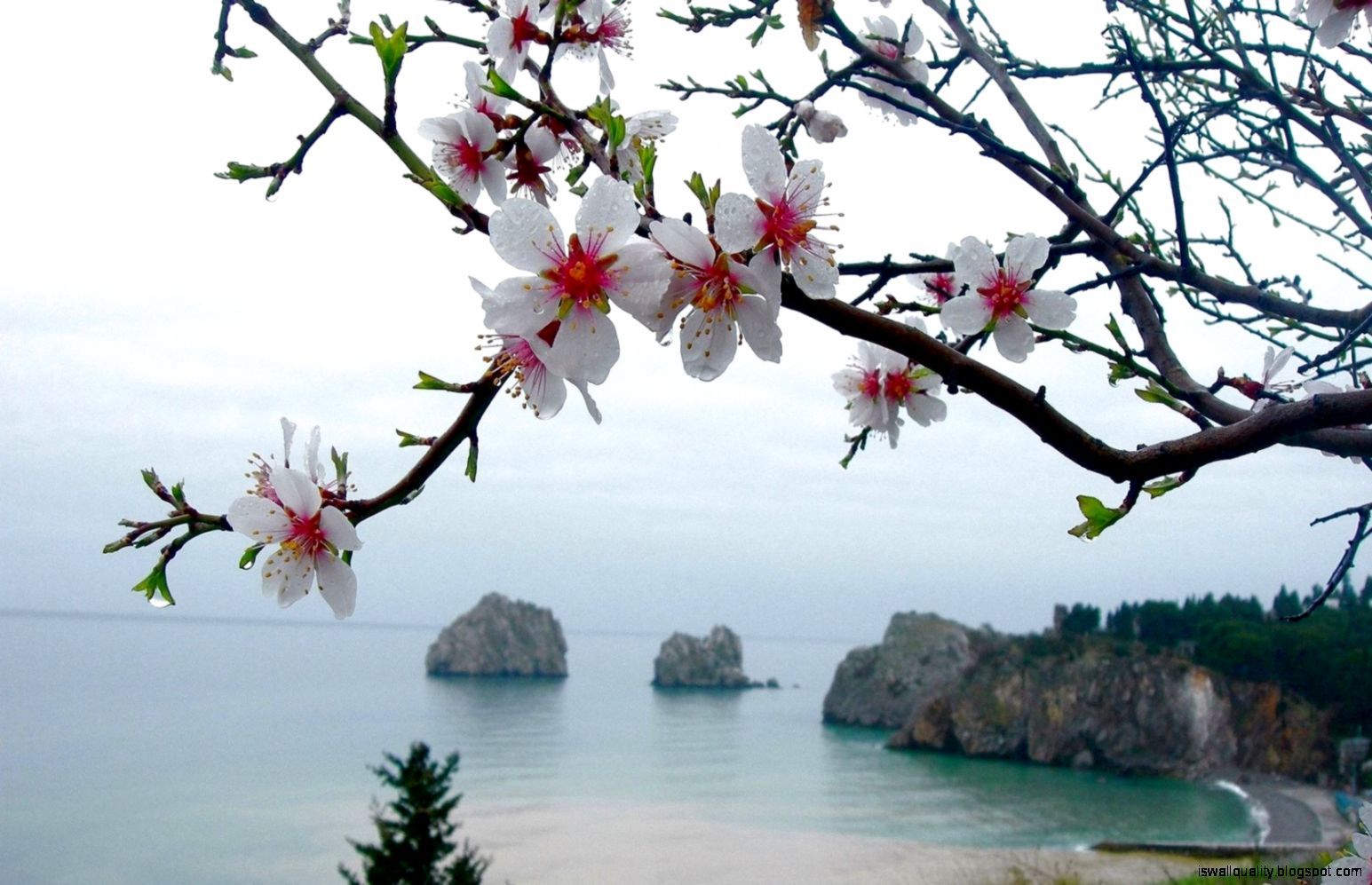 Spring Season Landscape Wallpapers - Wallpaper Cave