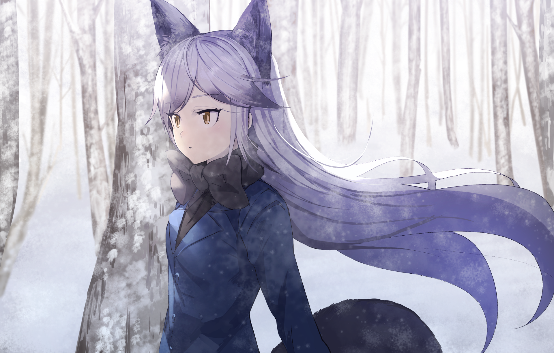 Silver Fox Anime Girl Wallpapers - Wallpaper Cave