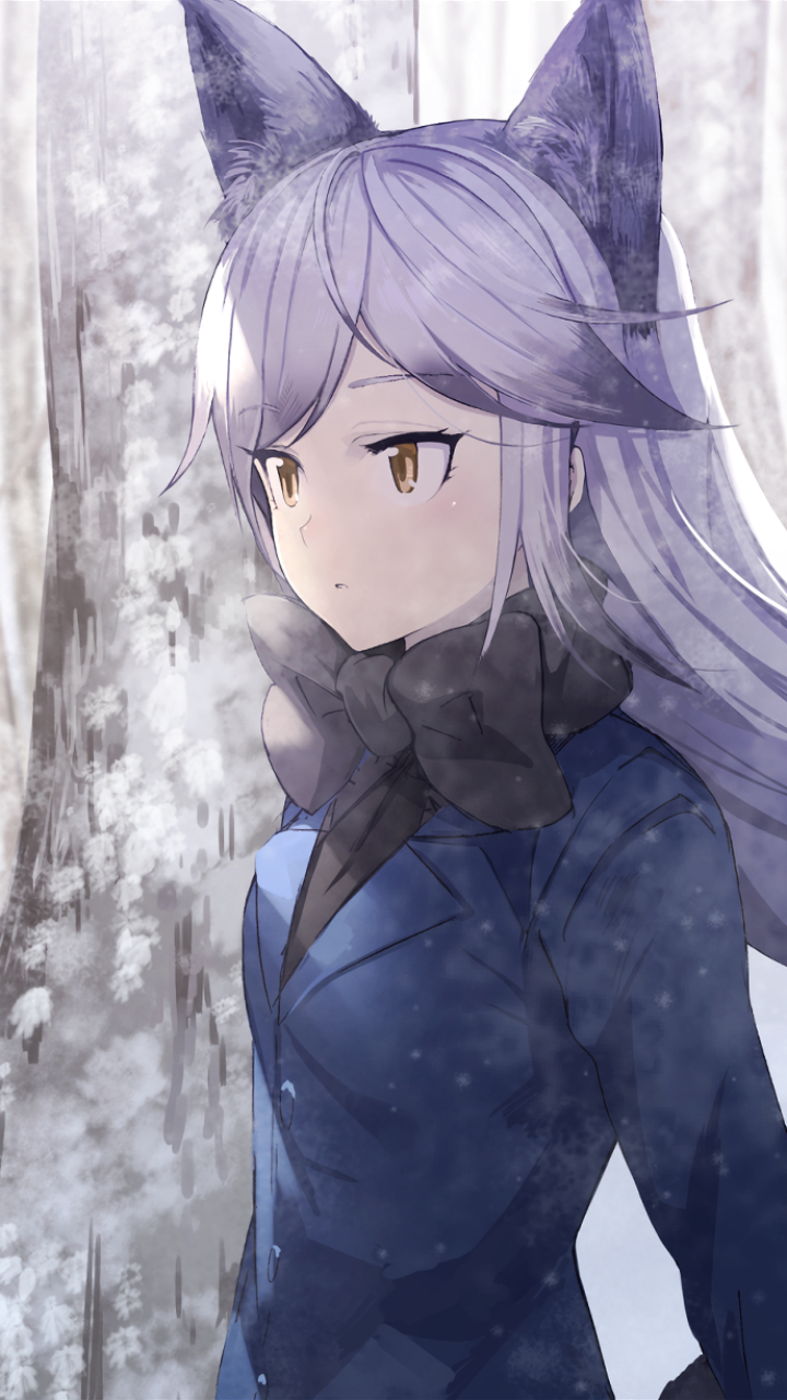 Silver Fox Anime Girl Wallpapers - Wallpaper Cave