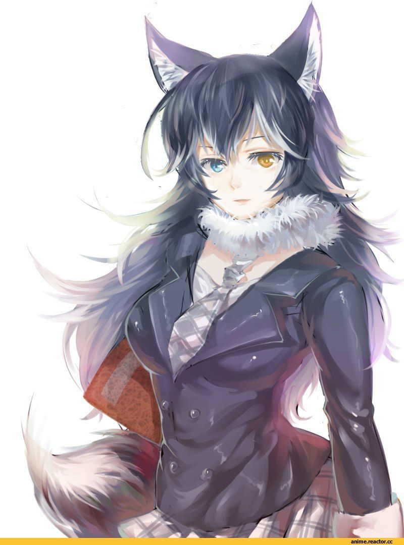 Silver Fox Anime Girl Wallpapers - Wallpaper Cave
