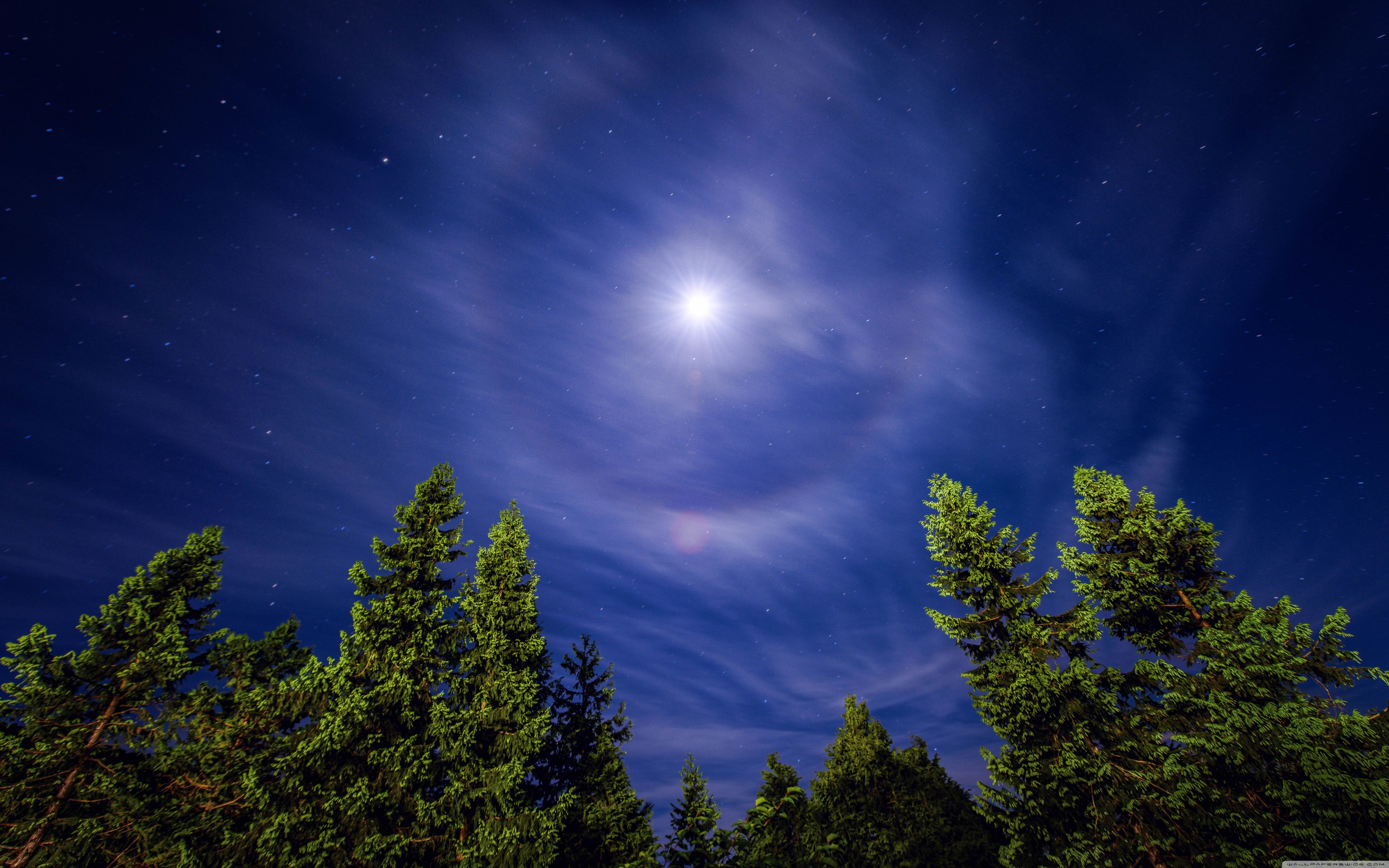 Halo Nights Wallpapers - Wallpaper Cave