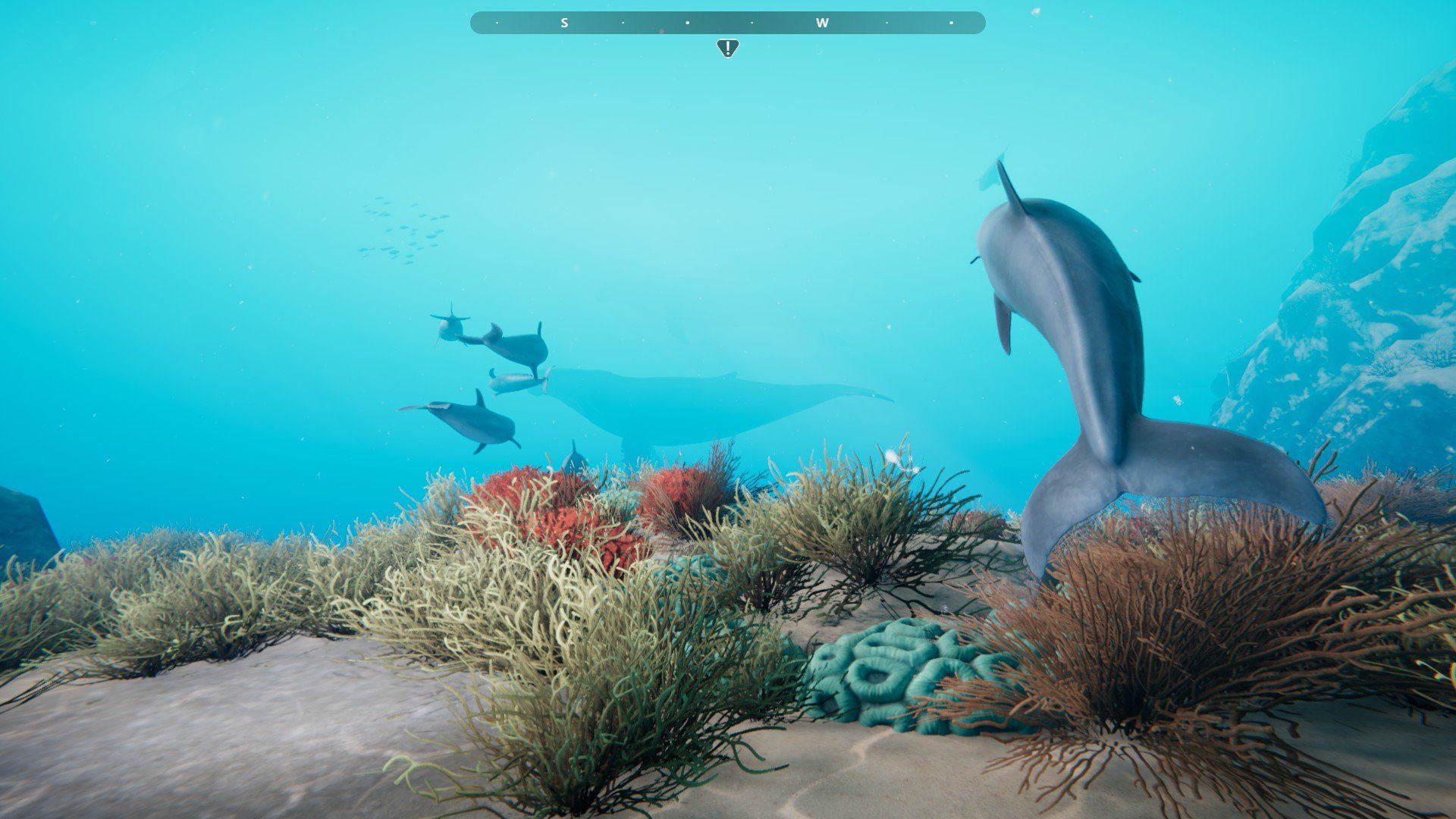 Beyond Blue Game Wallpapers - Wallpaper Cave