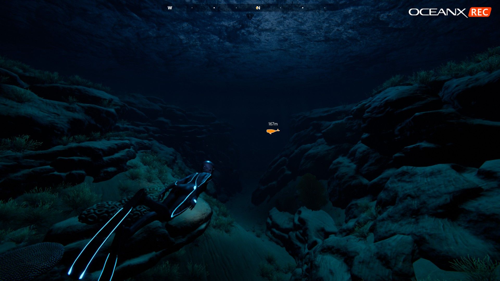 Beyond Blue Game Wallpapers - Wallpaper Cave