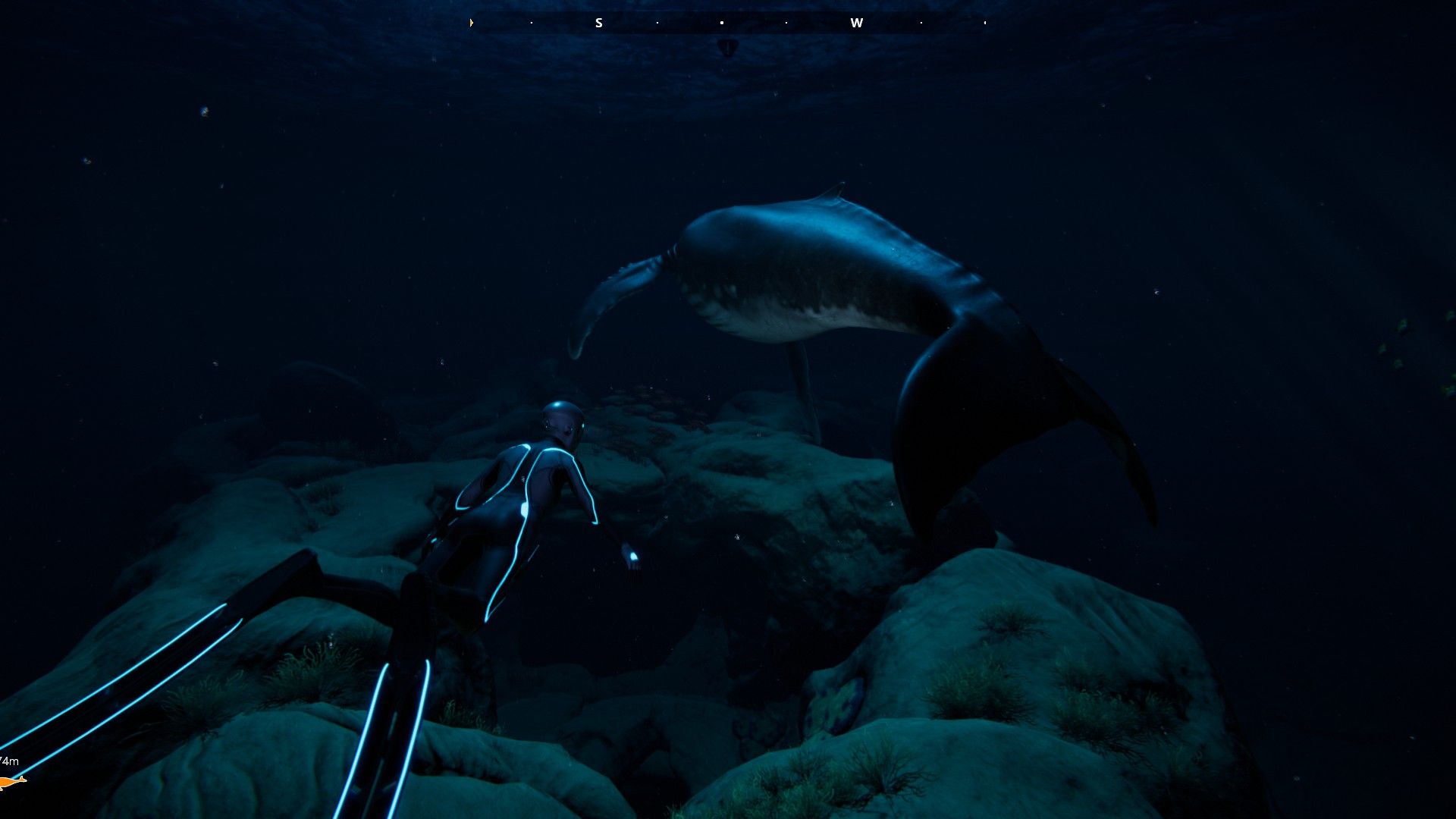 Beyond Blue Game Wallpapers - Wallpaper Cave