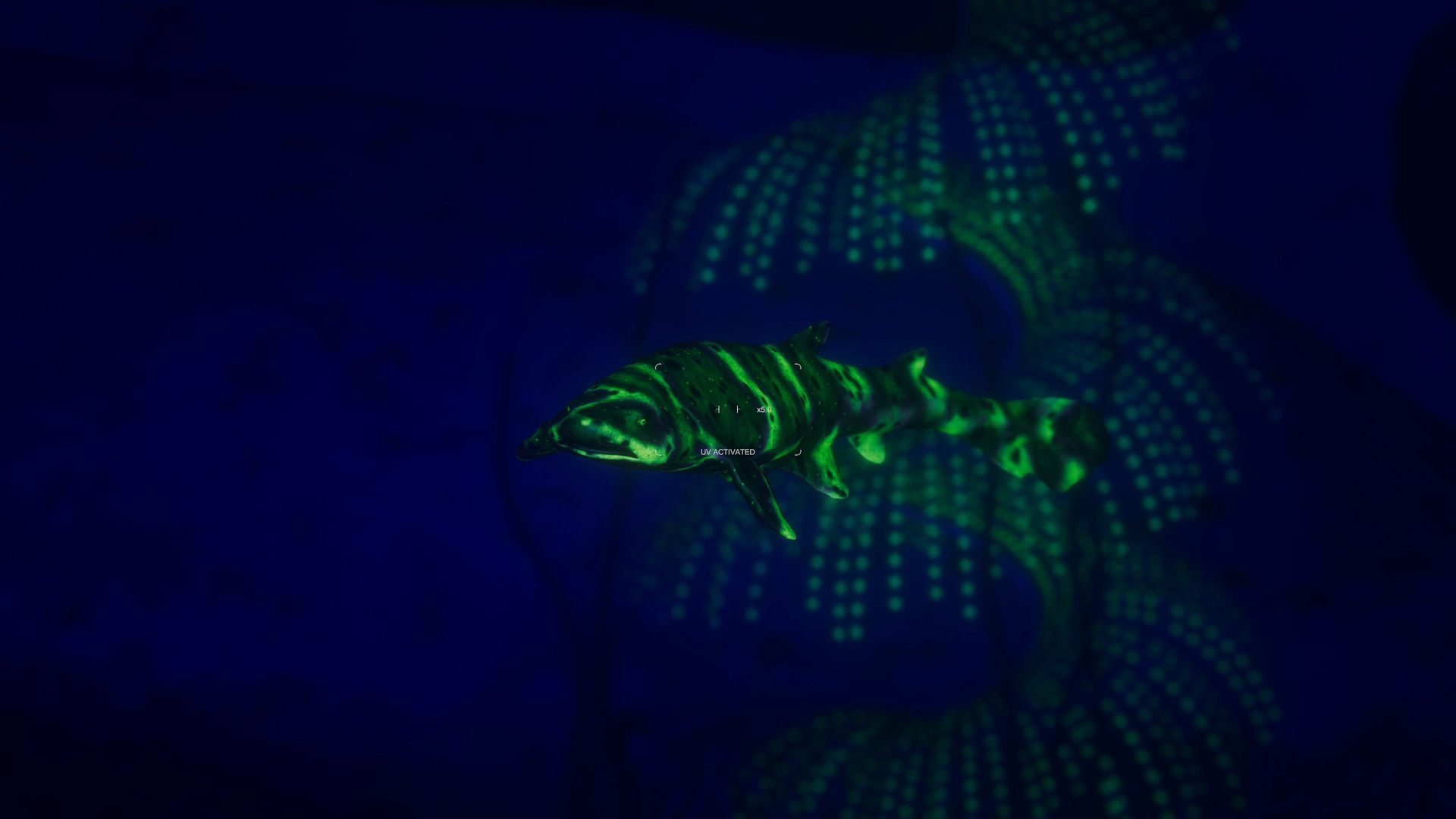 Beyond Blue Game Wallpapers - Wallpaper Cave