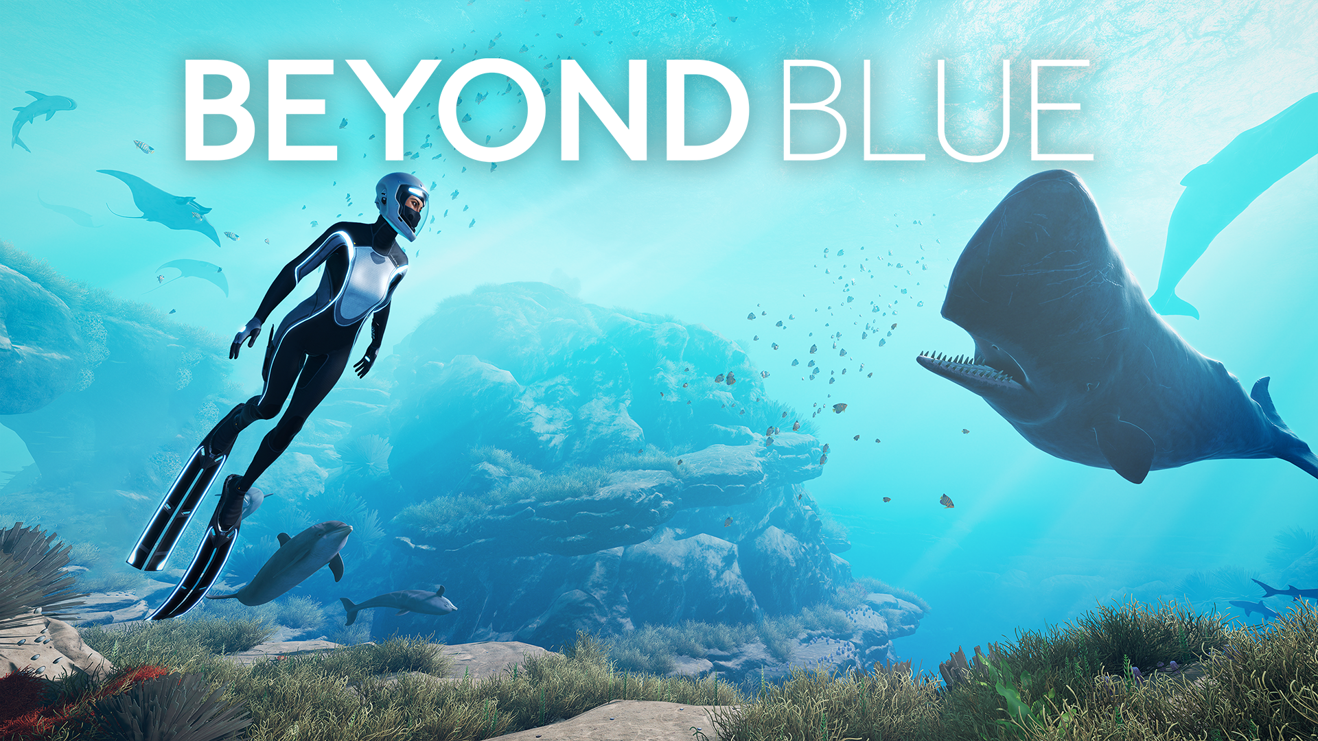 Beyond Blue Game Wallpapers - Wallpaper Cave