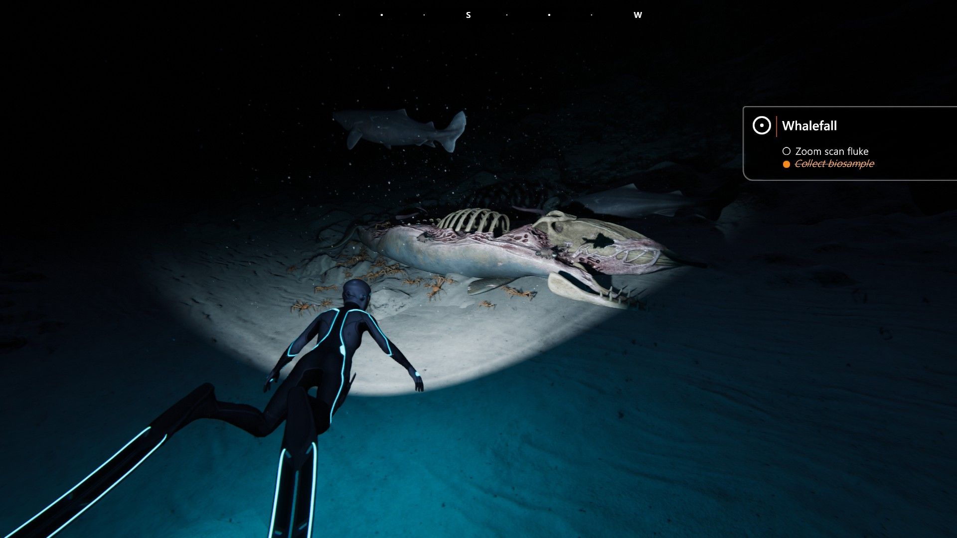 Beyond Blue Game Wallpapers - Wallpaper Cave