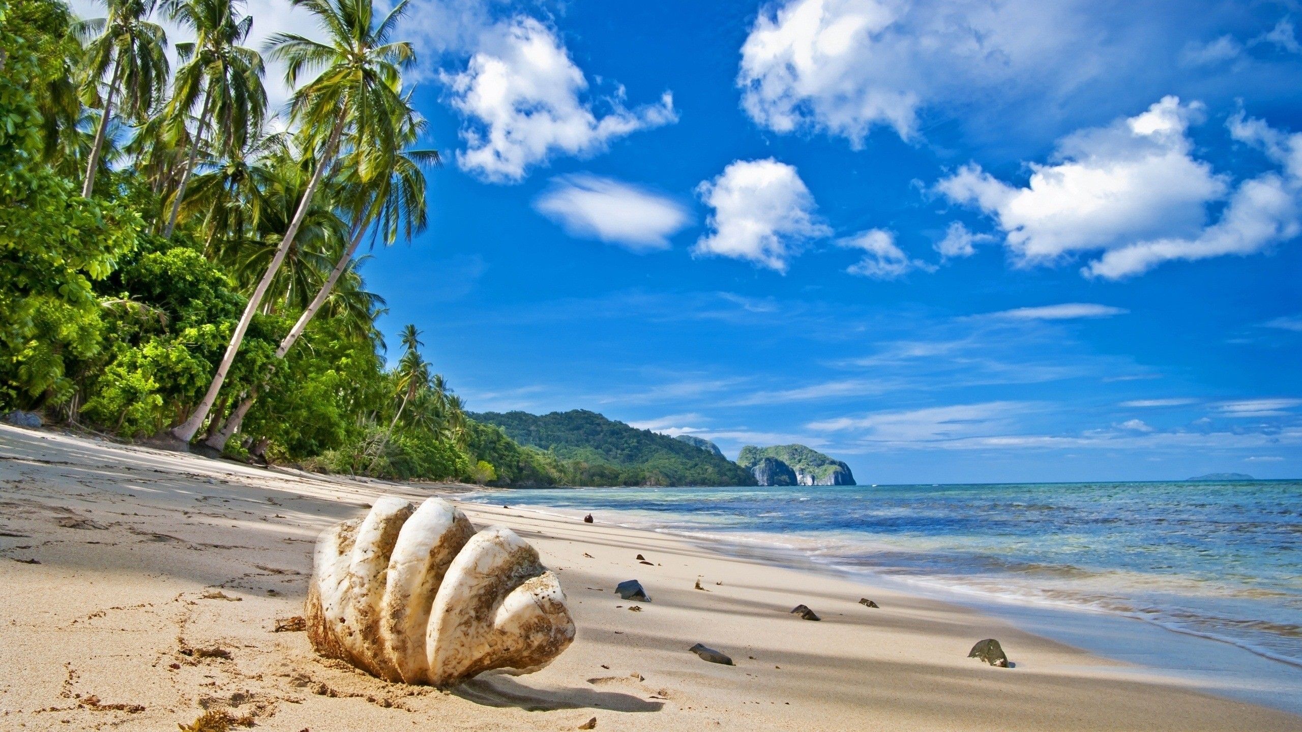 Tropical Relax Wallpapers - Wallpaper Cave