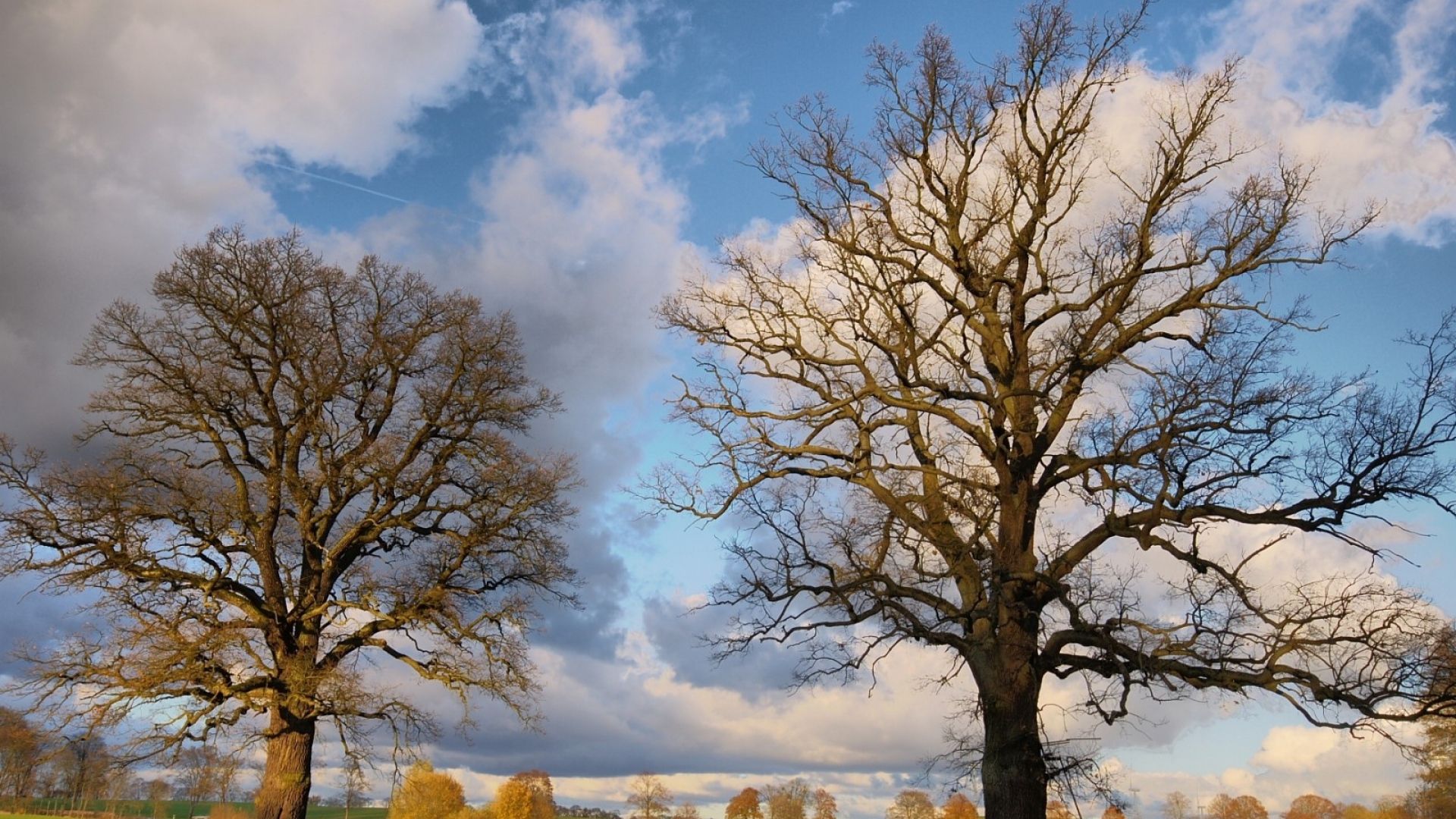 Color Trees Grass Clouds Wallpapers - Wallpaper Cave