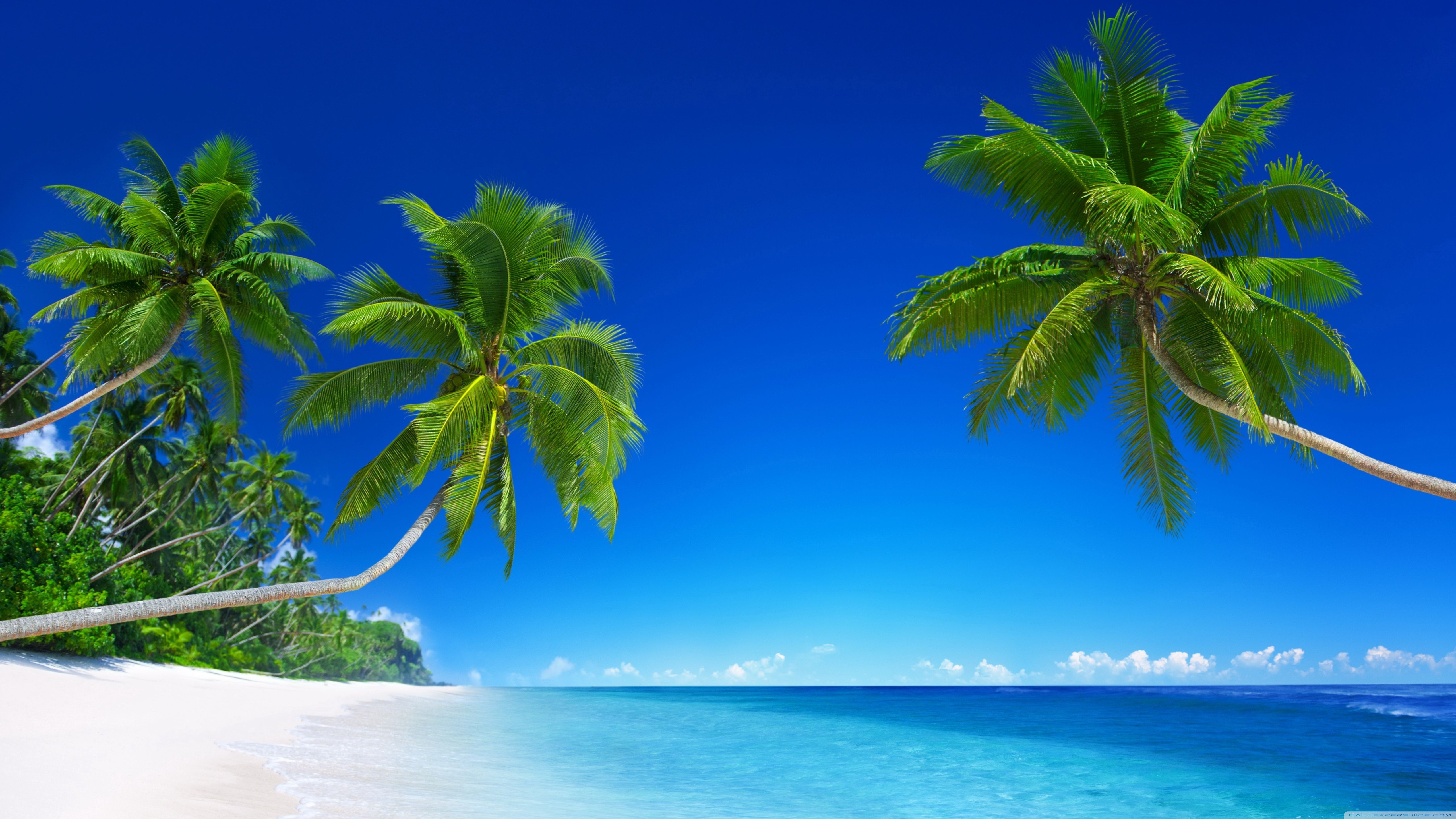 Mobile Beach UHD Wallpapers - Wallpaper Cave