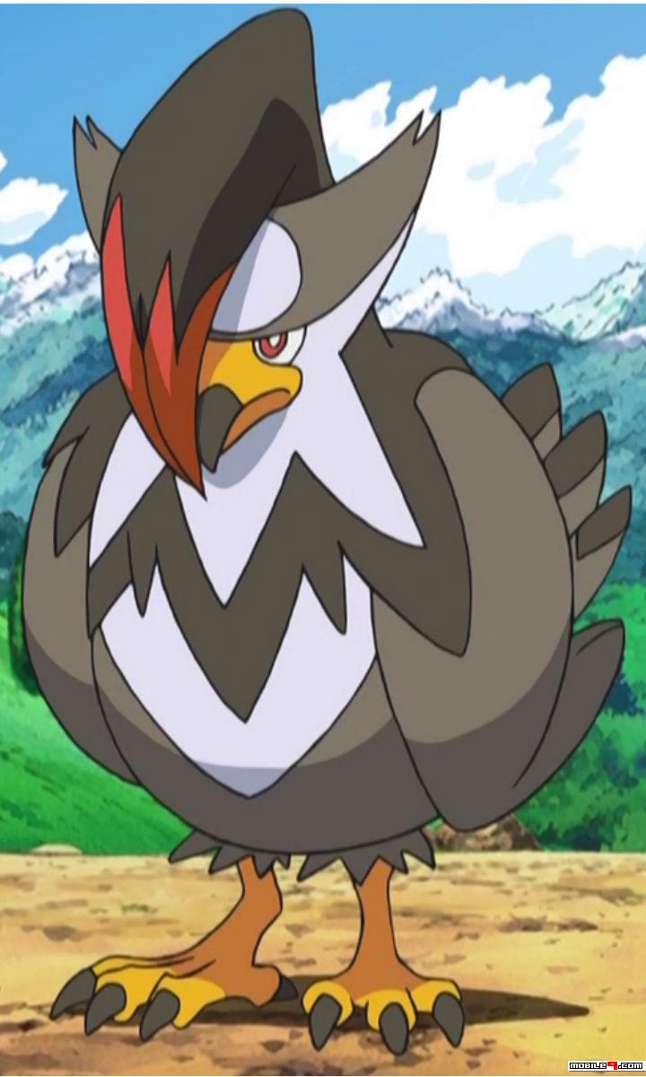 Staraptor Android Wallpapers - Wallpaper Cave