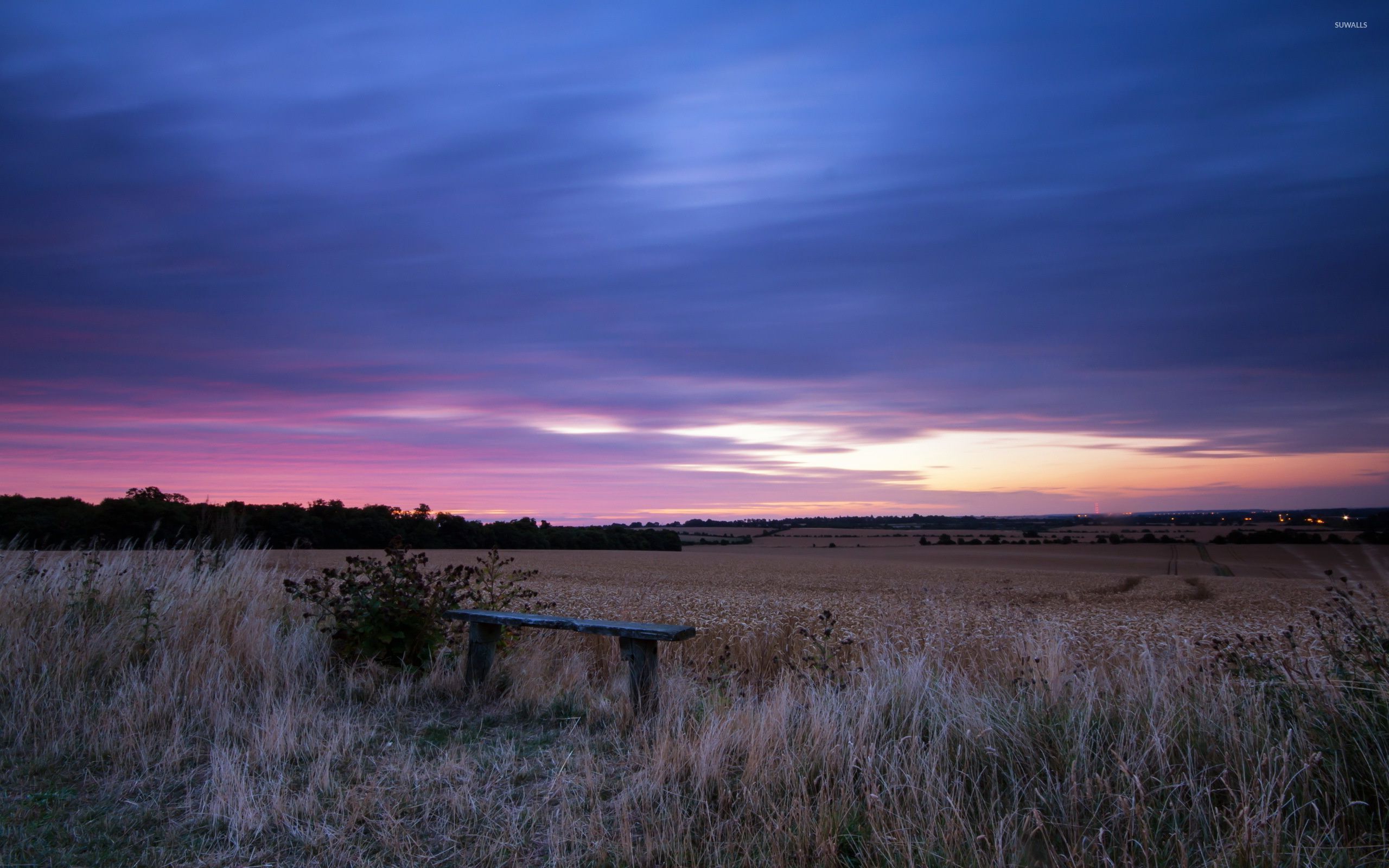Sunset Over The Forest Wallpapers - Wallpaper Cave