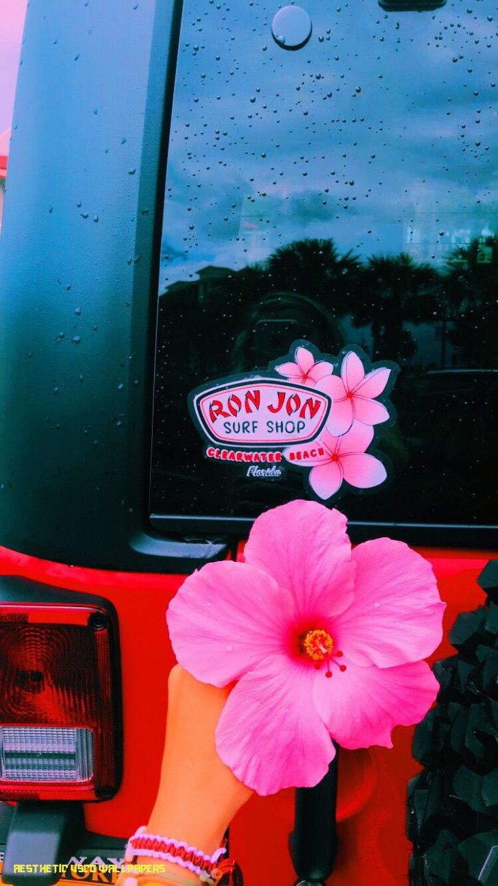 VSCO Summer HD Wallpapers - Wallpaper Cave