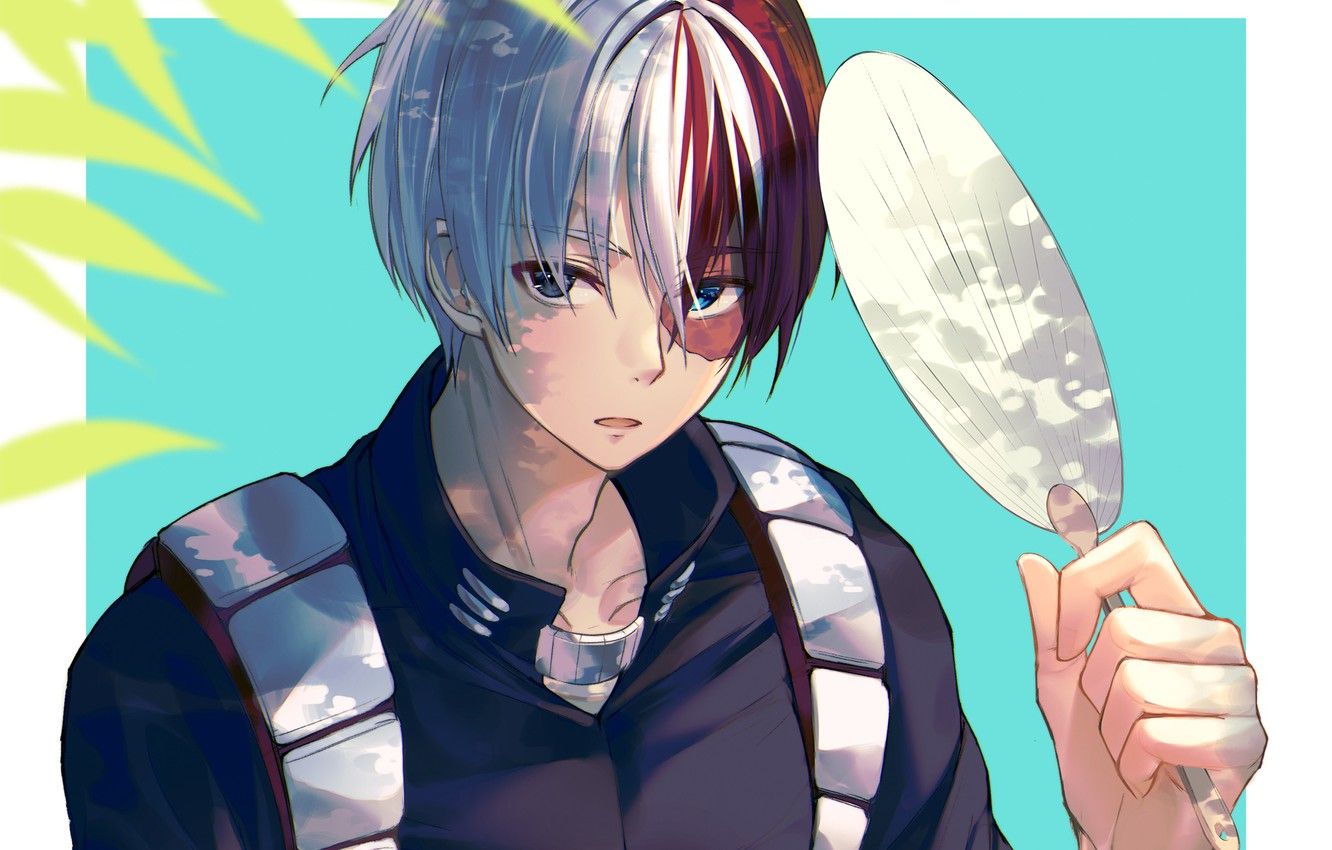 TodoDeku Computer Wallpapers - Wallpaper Cave