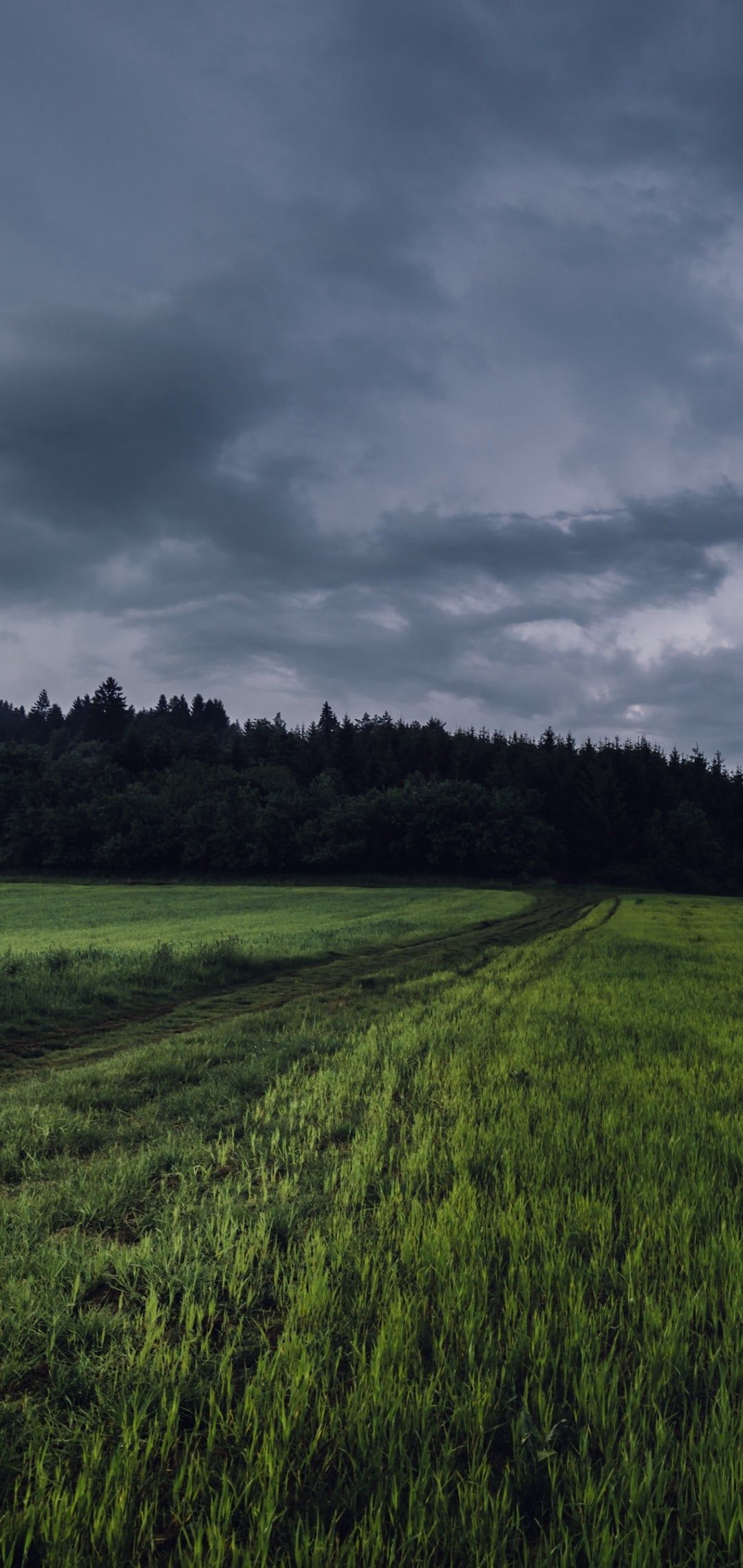 Grass HD Mobile Wallpapers - Wallpaper Cave