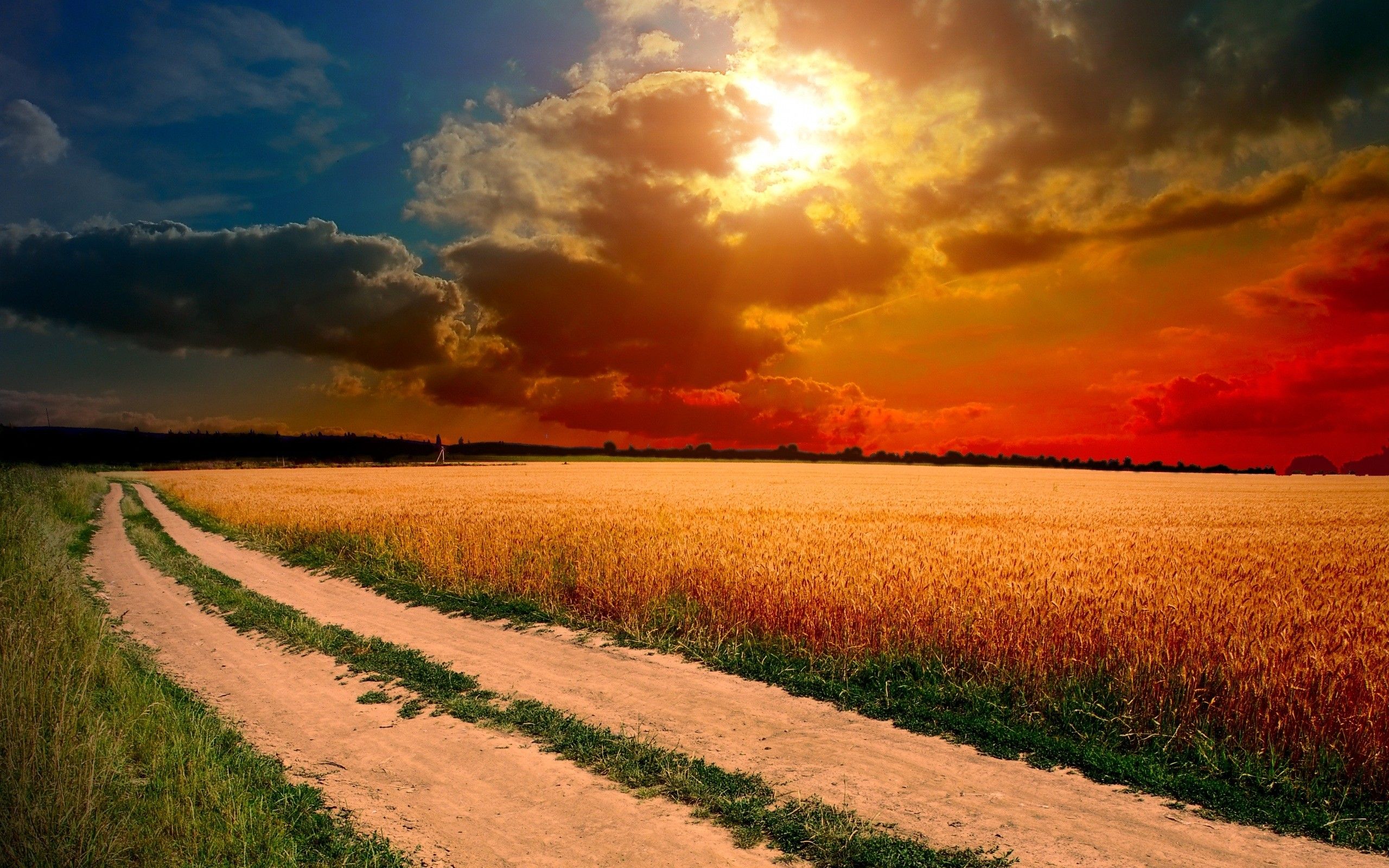 Amazing Field Sunset Wallpapers - Wallpaper Cave