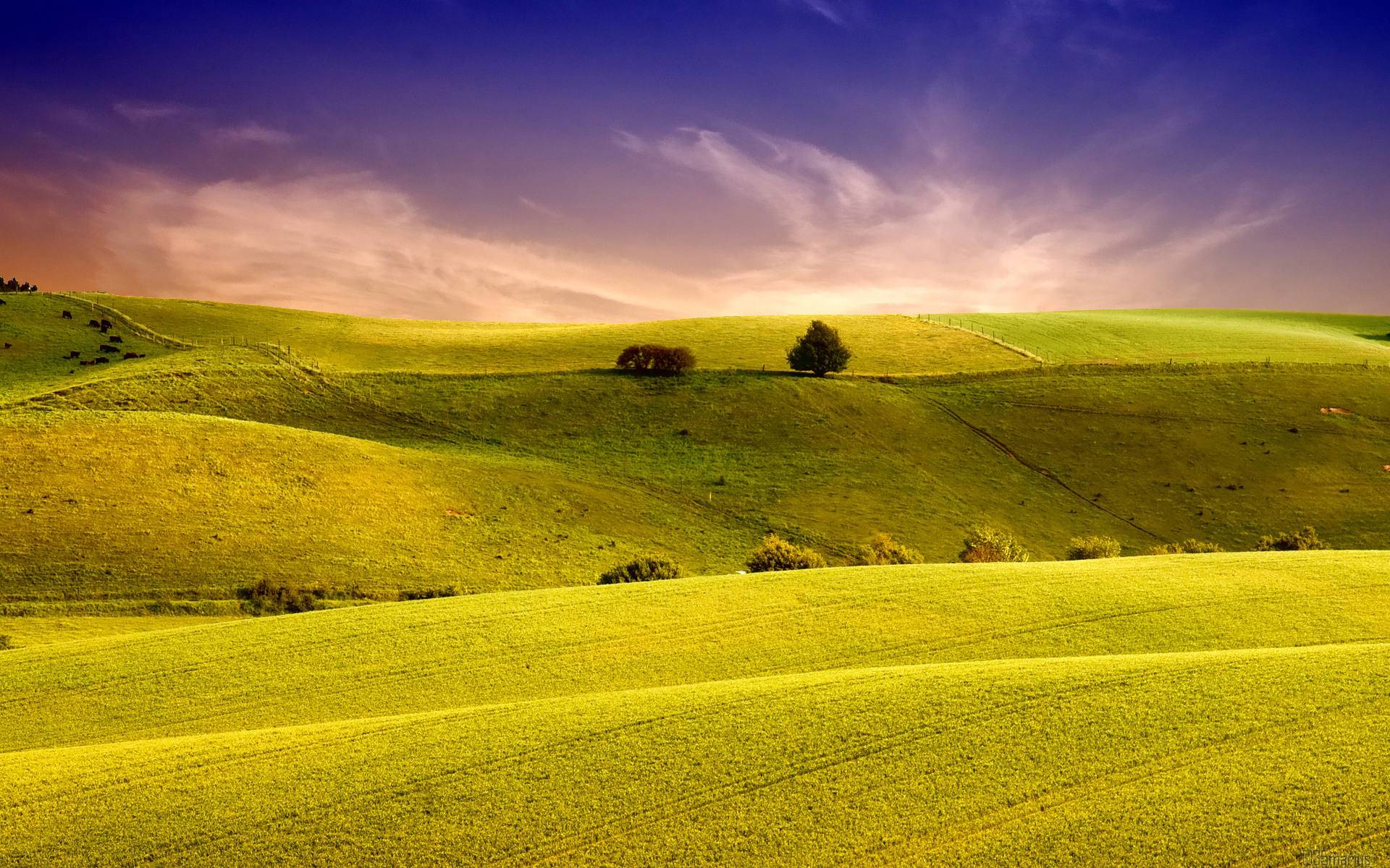 Amazing Field Sunset Wallpapers - Wallpaper Cave