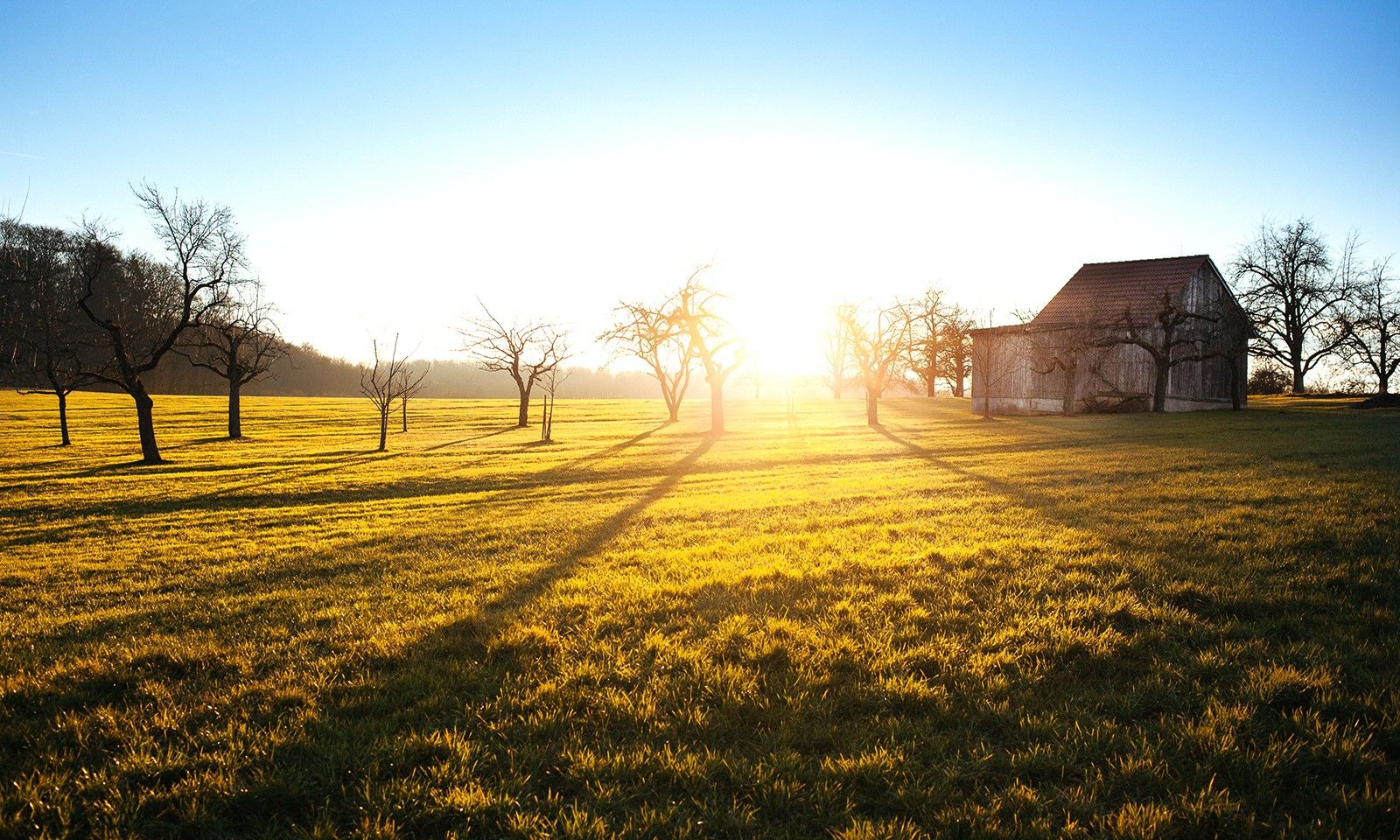 Amazing Field Sunset Wallpapers - Wallpaper Cave
