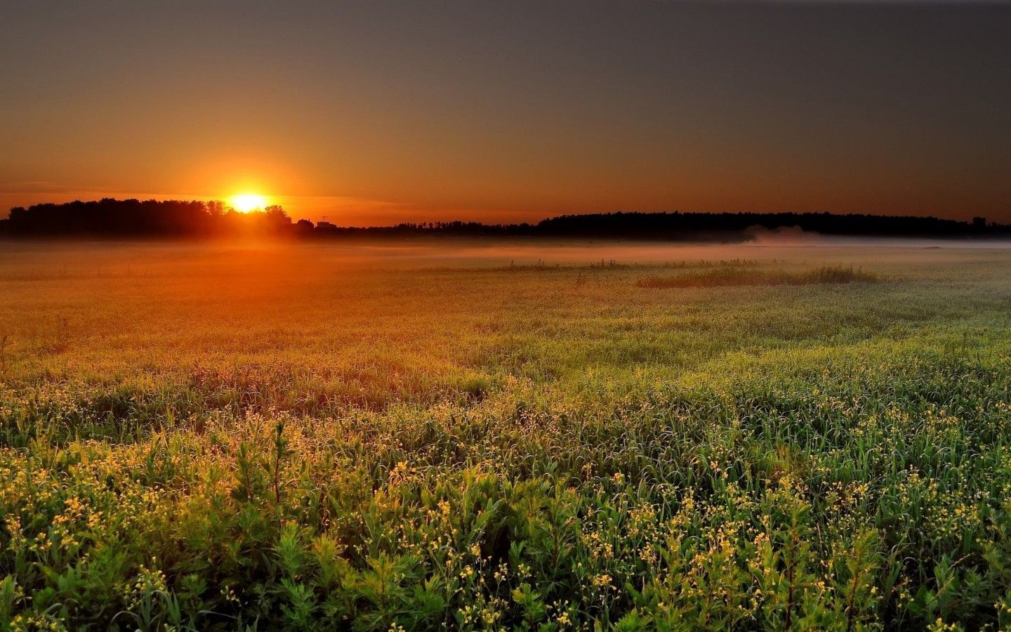 Amazing Field Sunset Wallpapers - Wallpaper Cave