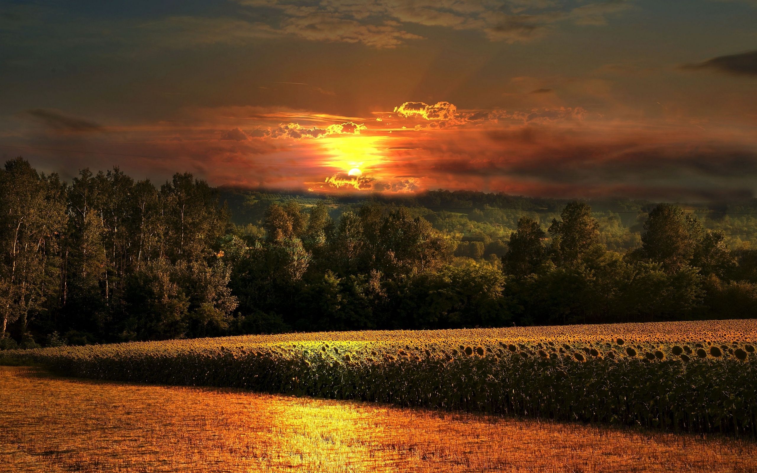 Amazing Field Sunset Wallpapers - Wallpaper Cave