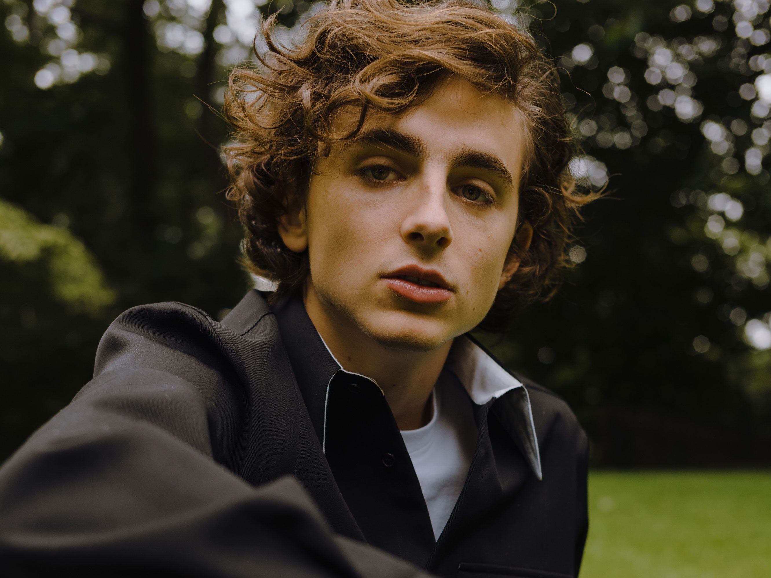 Timothee Chalamet Desktop Wallpapers - Wallpaper Cave