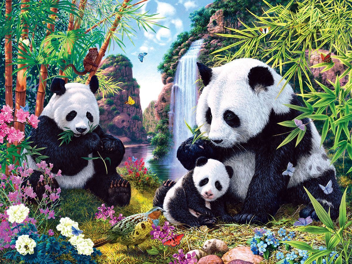 Panda Family