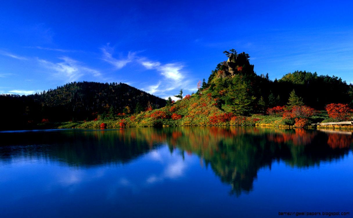 Blue Beauty Wallpapers - Wallpaper Cave