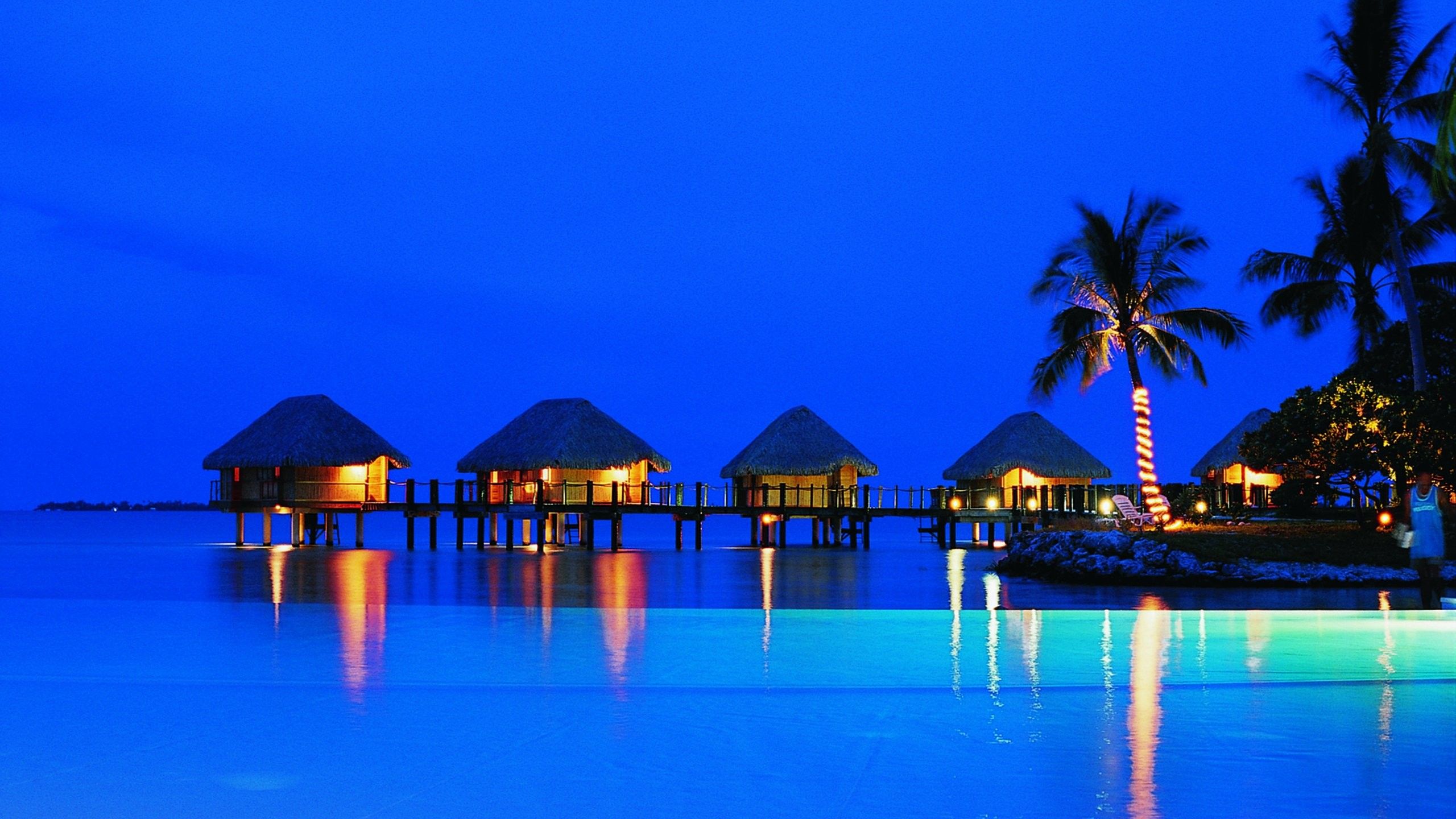 Blue Beauty Wallpapers - Wallpaper Cave