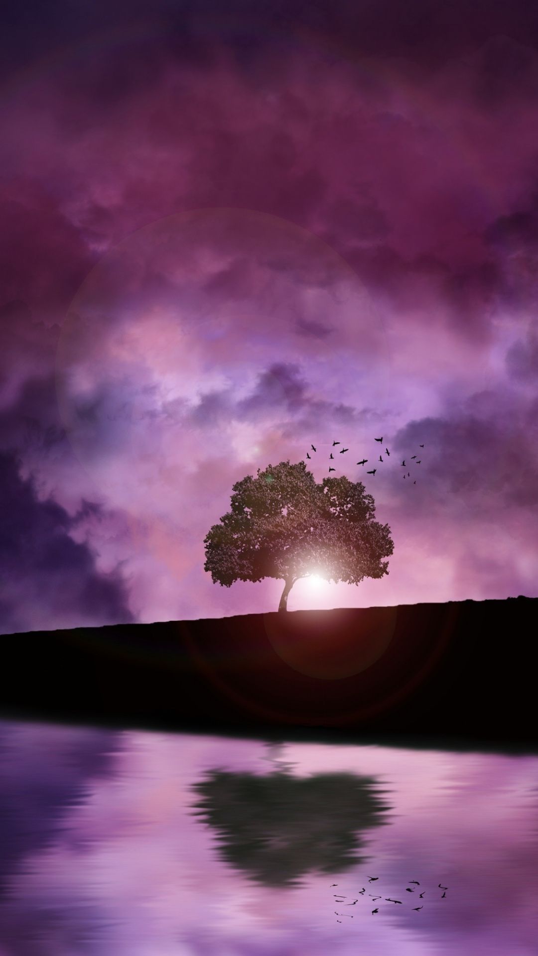 Sunset Tree Lake Wallpapers - Wallpaper Cave