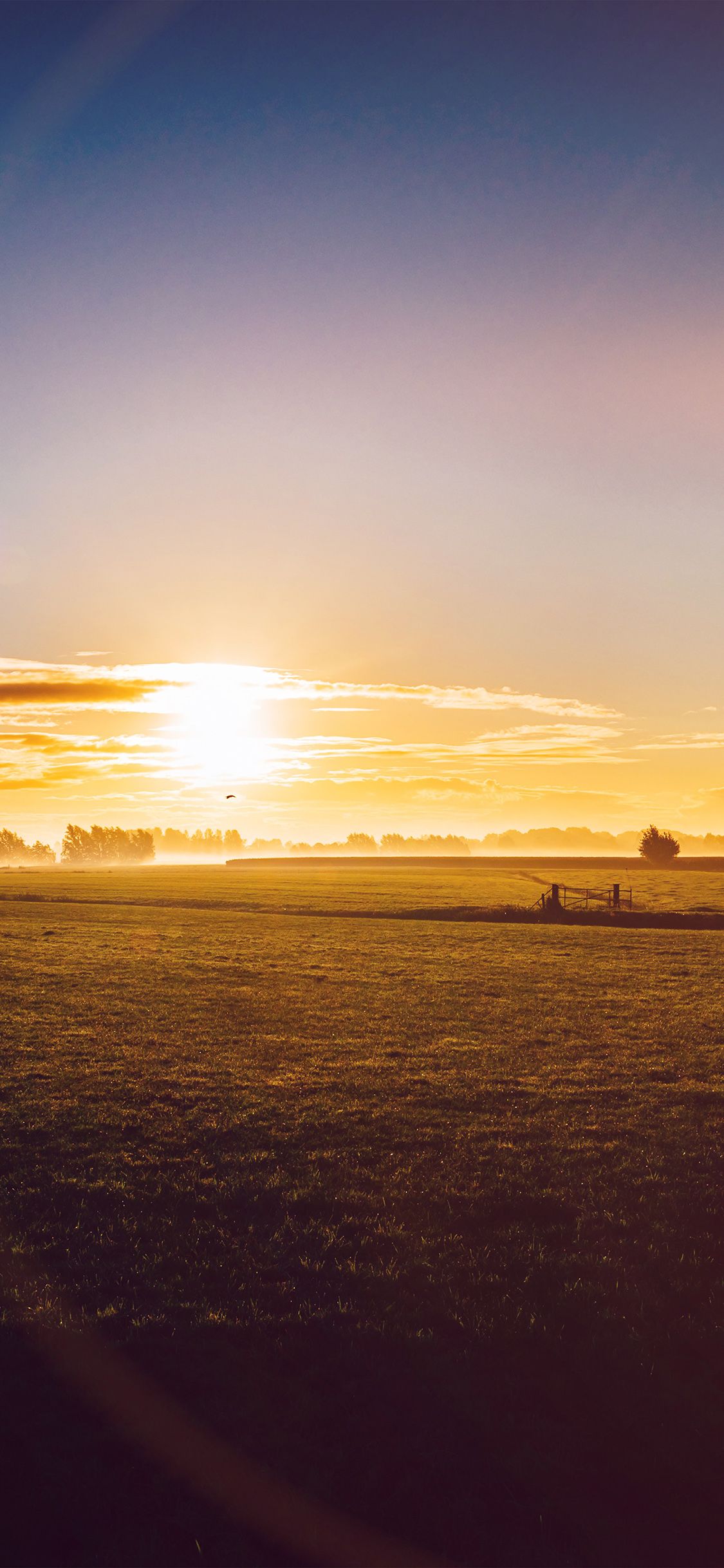 Morning iPhone Wallpapers - Wallpaper Cave