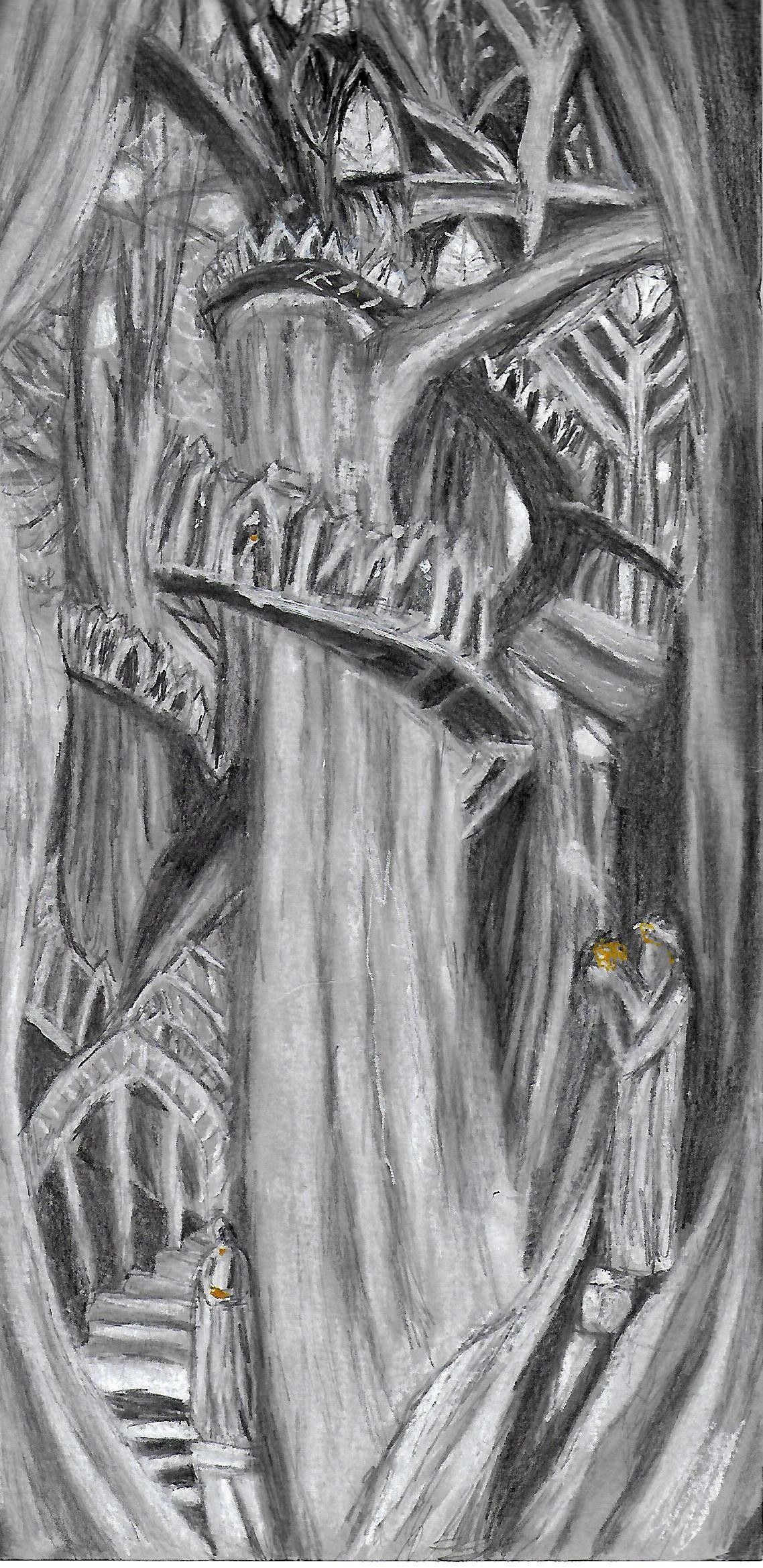 Lothlórien Wallpapers - Wallpaper Cave