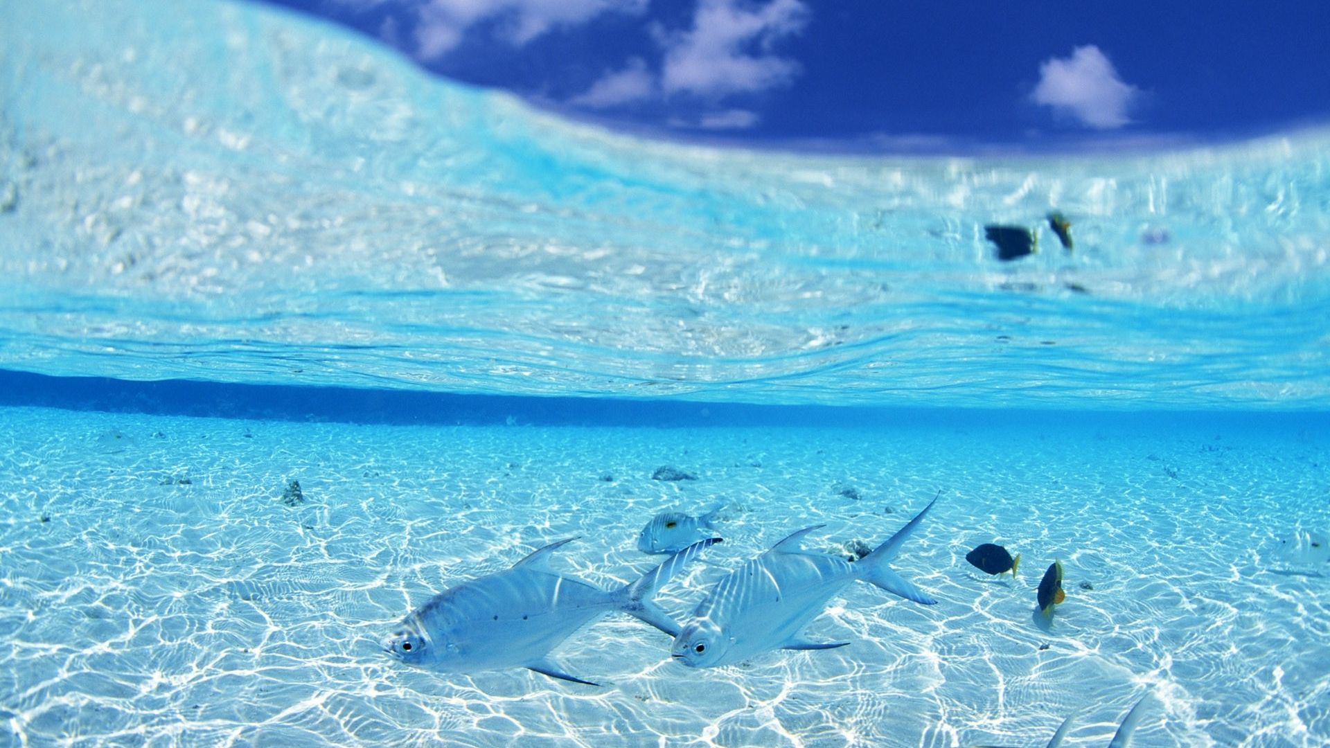 Desktop Sea Wallpapers - Wallpaper Cave