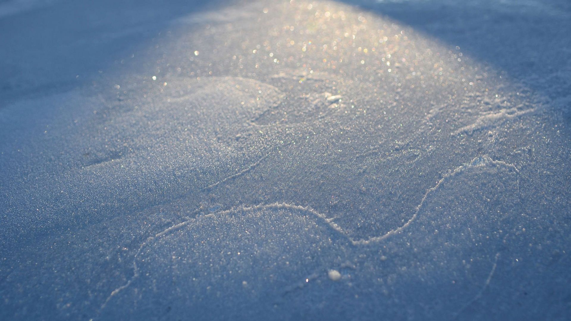 Winning Wallpapers - Wallpaper Cave