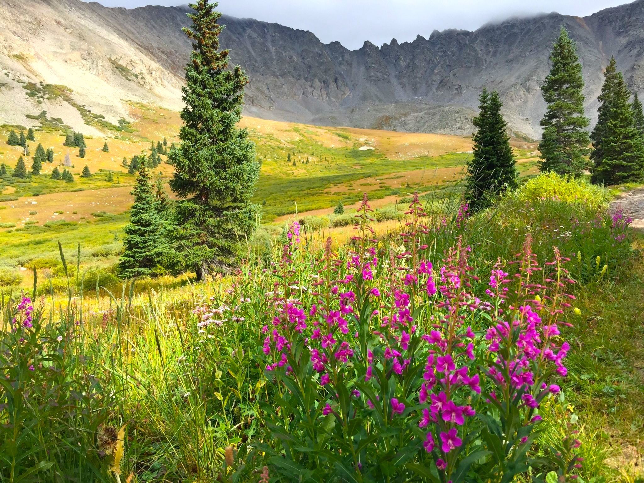 Wildflowers Autumn Trail Wallpapers - Wallpaper Cave
