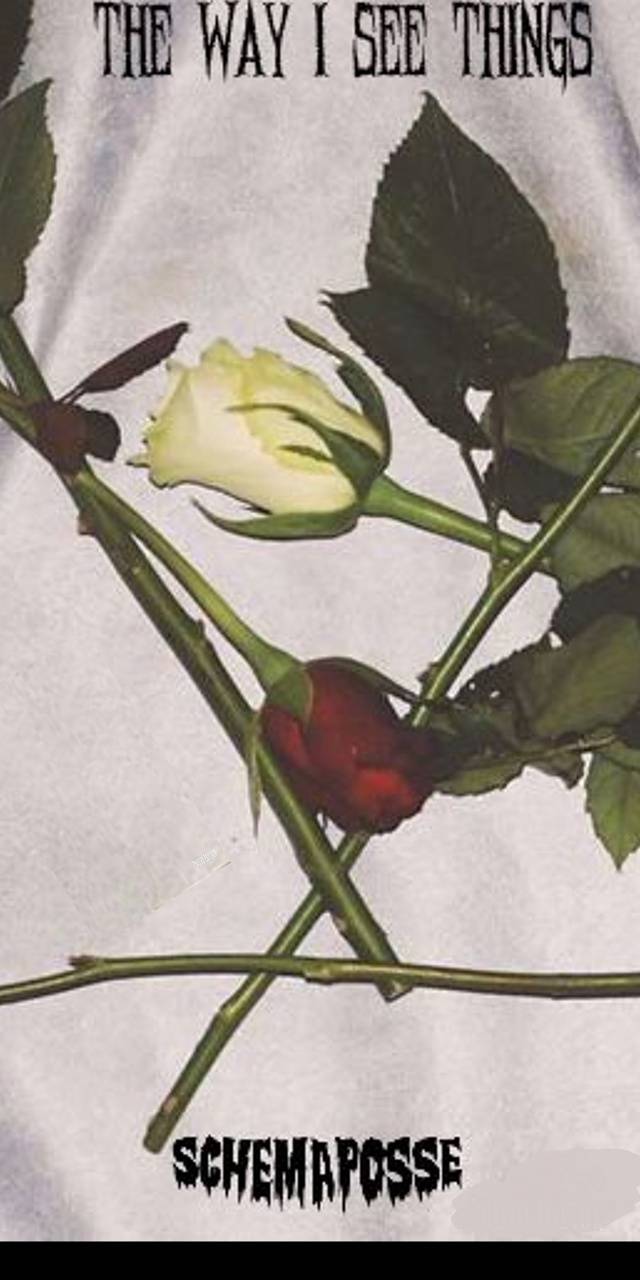 Schemaposse Wallpapers - Wallpaper Cave