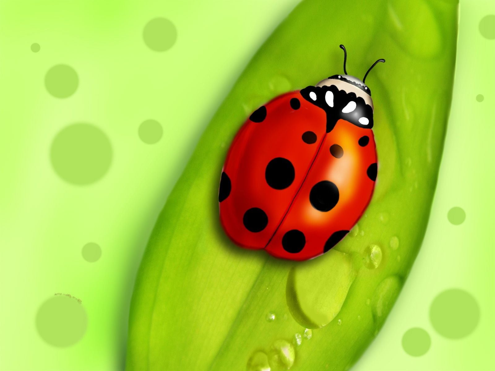 Ladybug Desktop Wallpapers - Wallpaper Cave