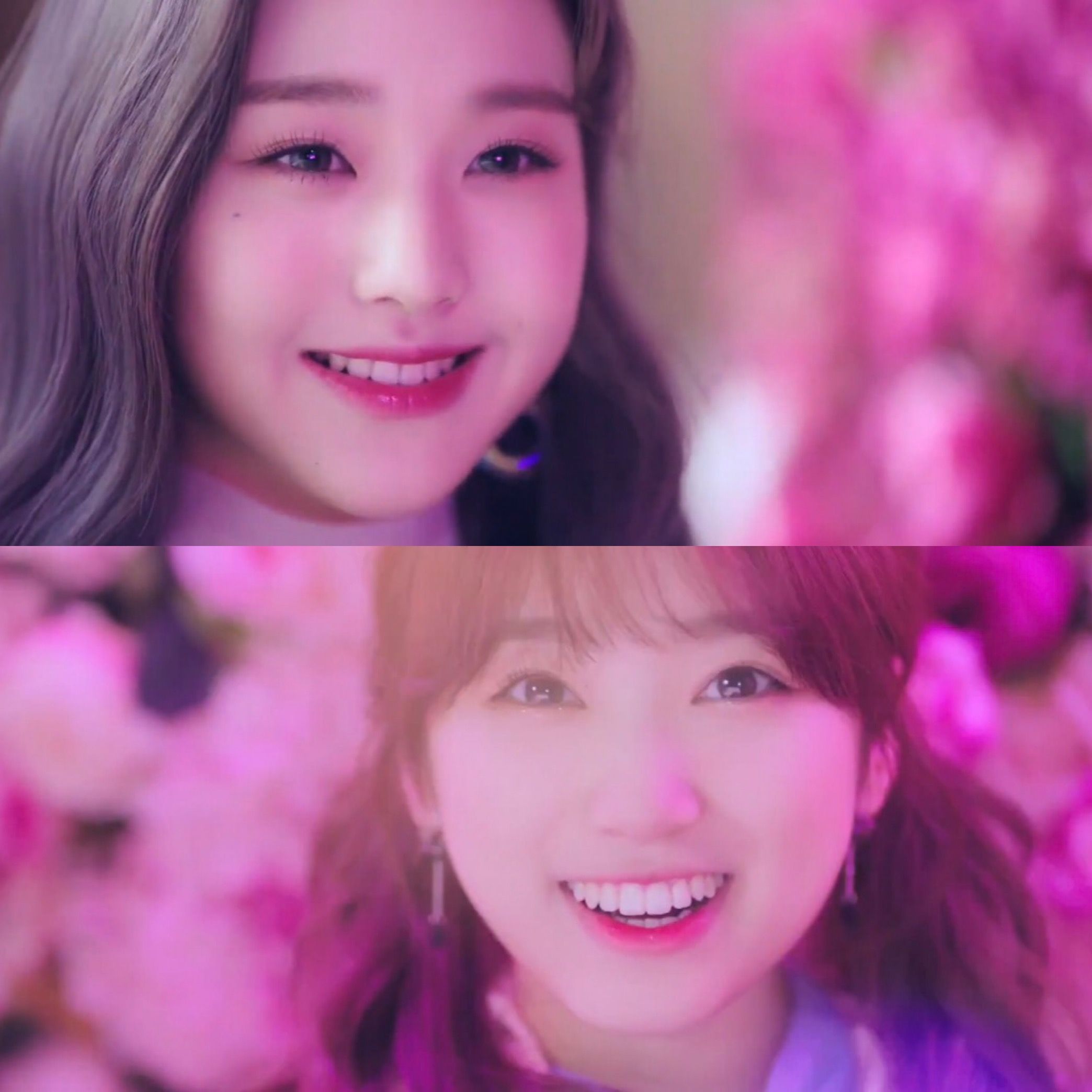 Nako IZone Wallpapers - Wallpaper Cave