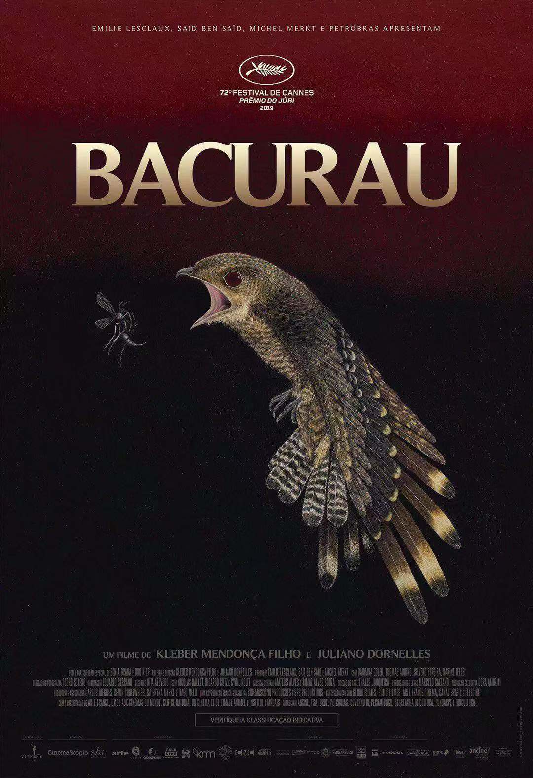 Bacurau Wallpapers - Wallpaper Cave