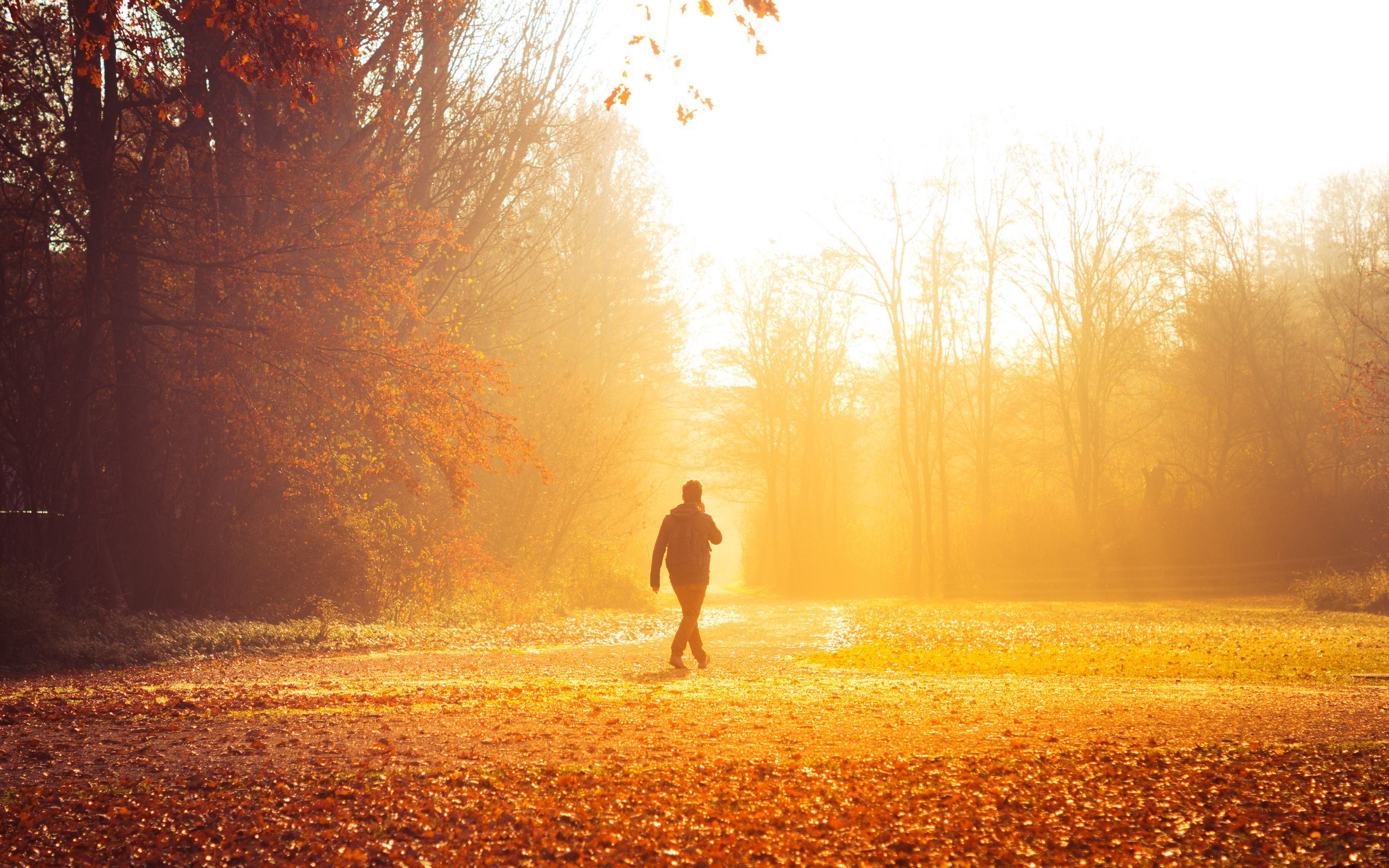 Morning Walk Wallpapers - Wallpaper Cave