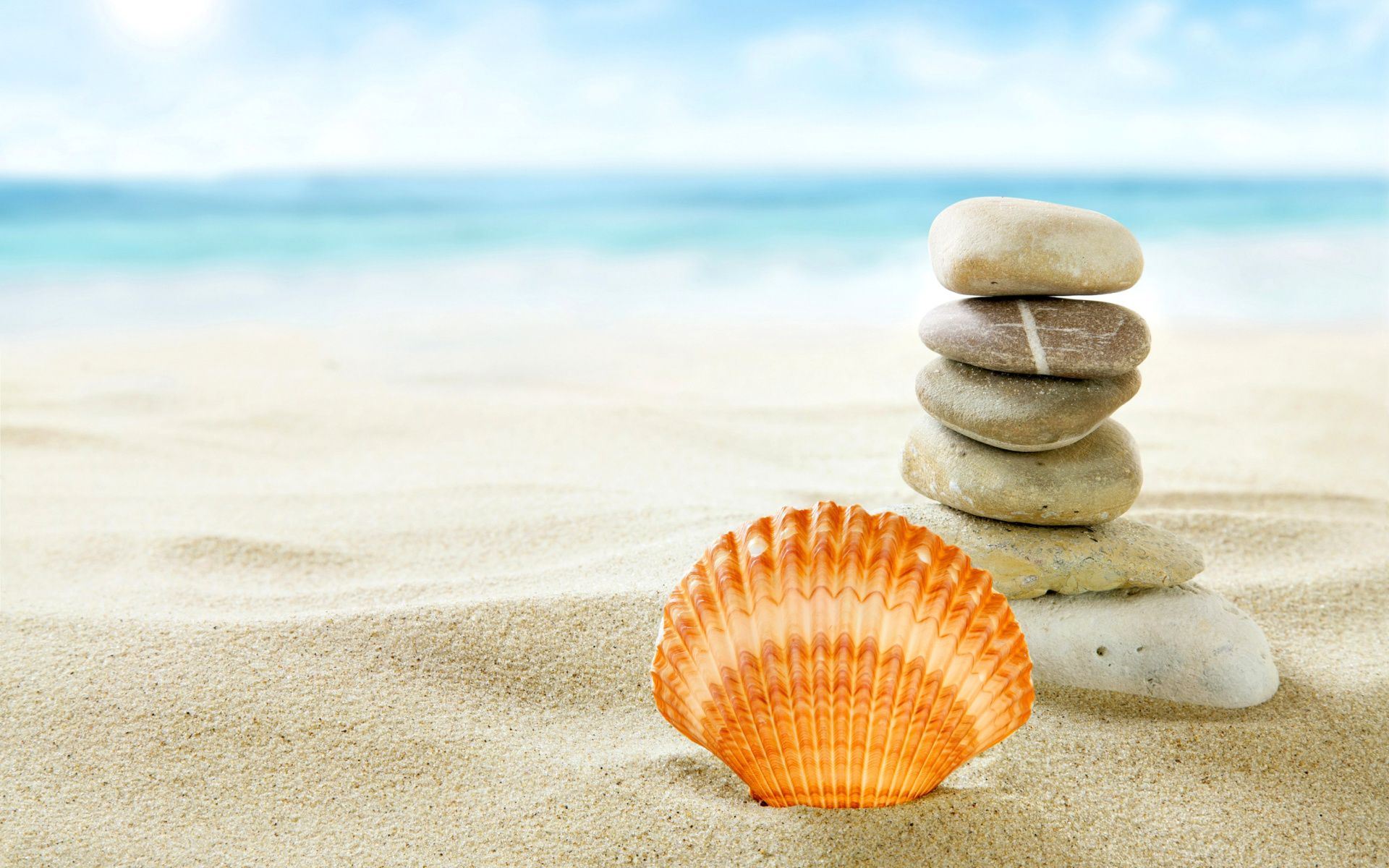 Desktop Sea Shore And Shell Wallpapers - Wallpaper Cave