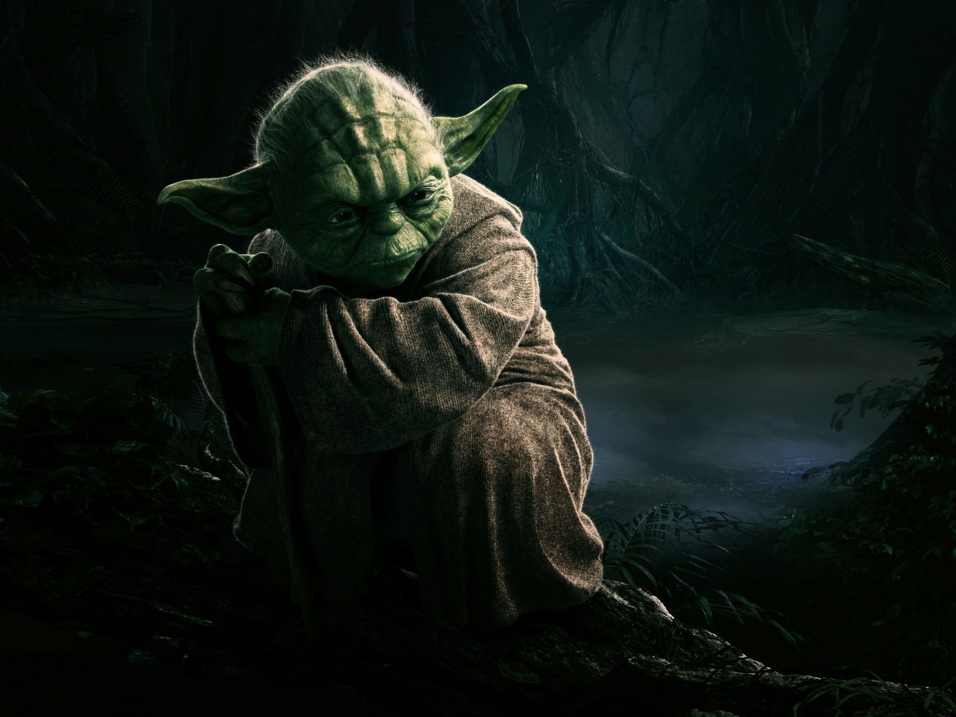 Adult Yoda Wallpapers - Wallpaper Cave