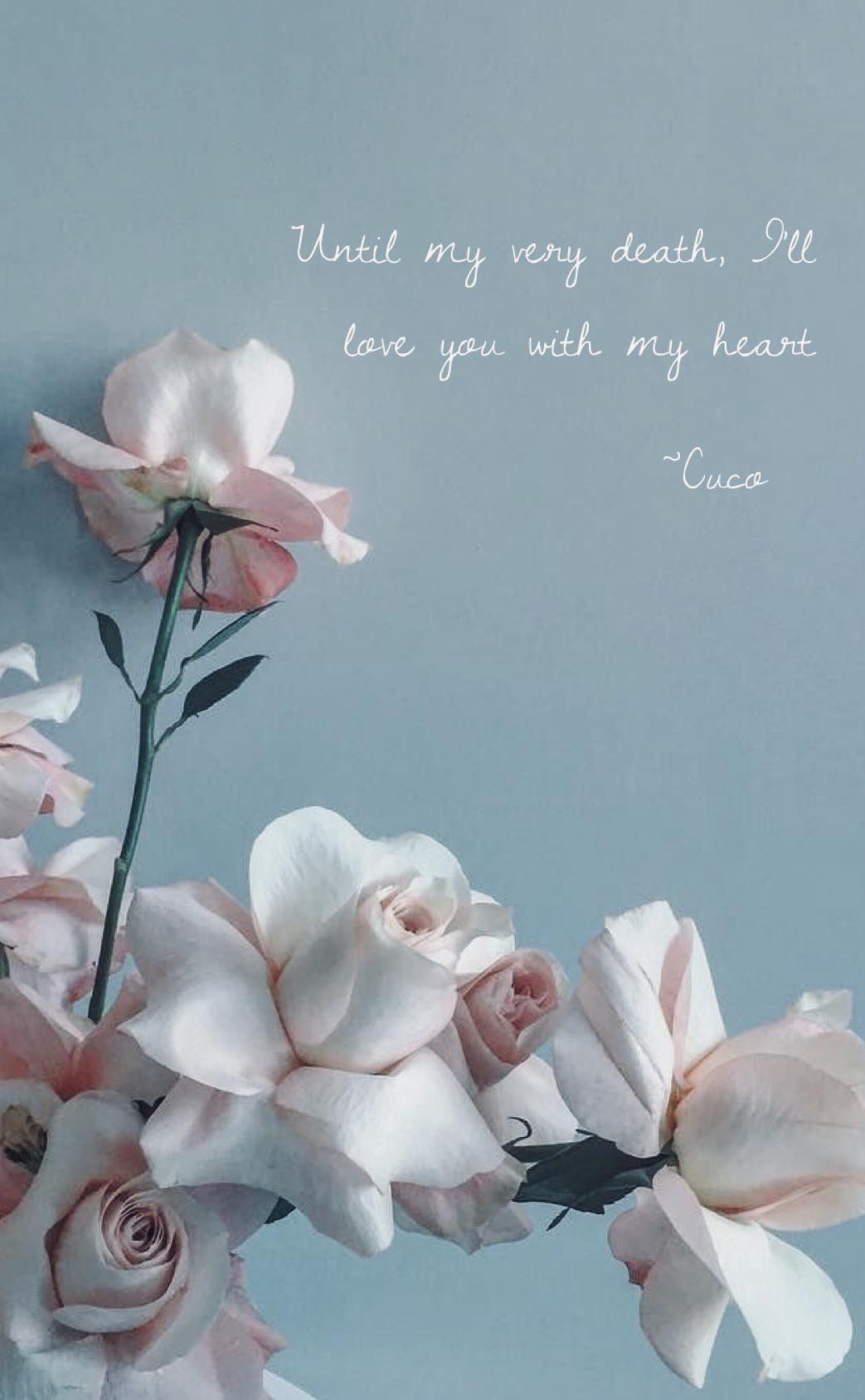 Cuco Aesthetic Wallpapers - Wallpaper Cave