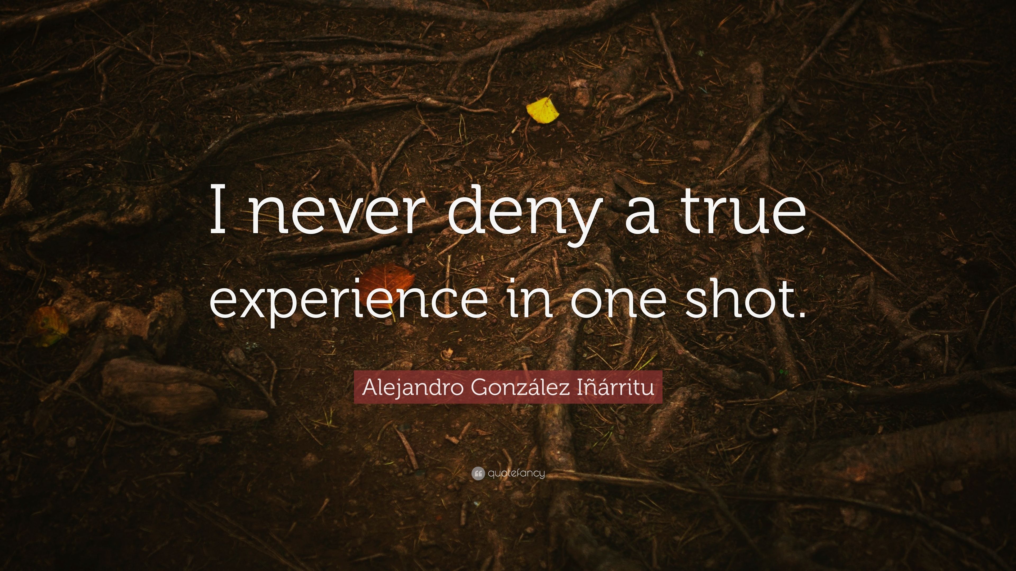Alejandro Gonzalez Quotes