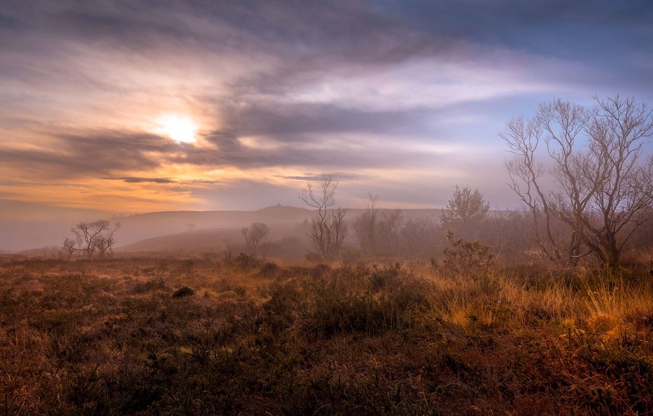 Dry Tree Clouds Sky Wallpapers - Wallpaper Cave