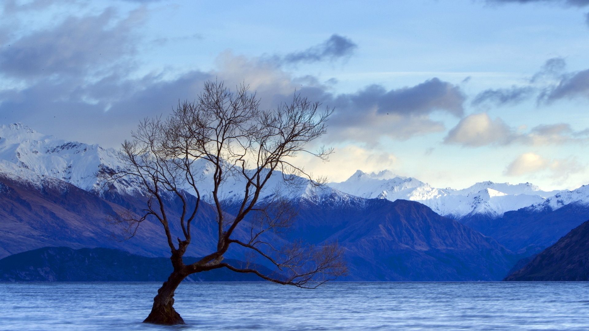 Dry Tree Clouds Sky Wallpapers - Wallpaper Cave
