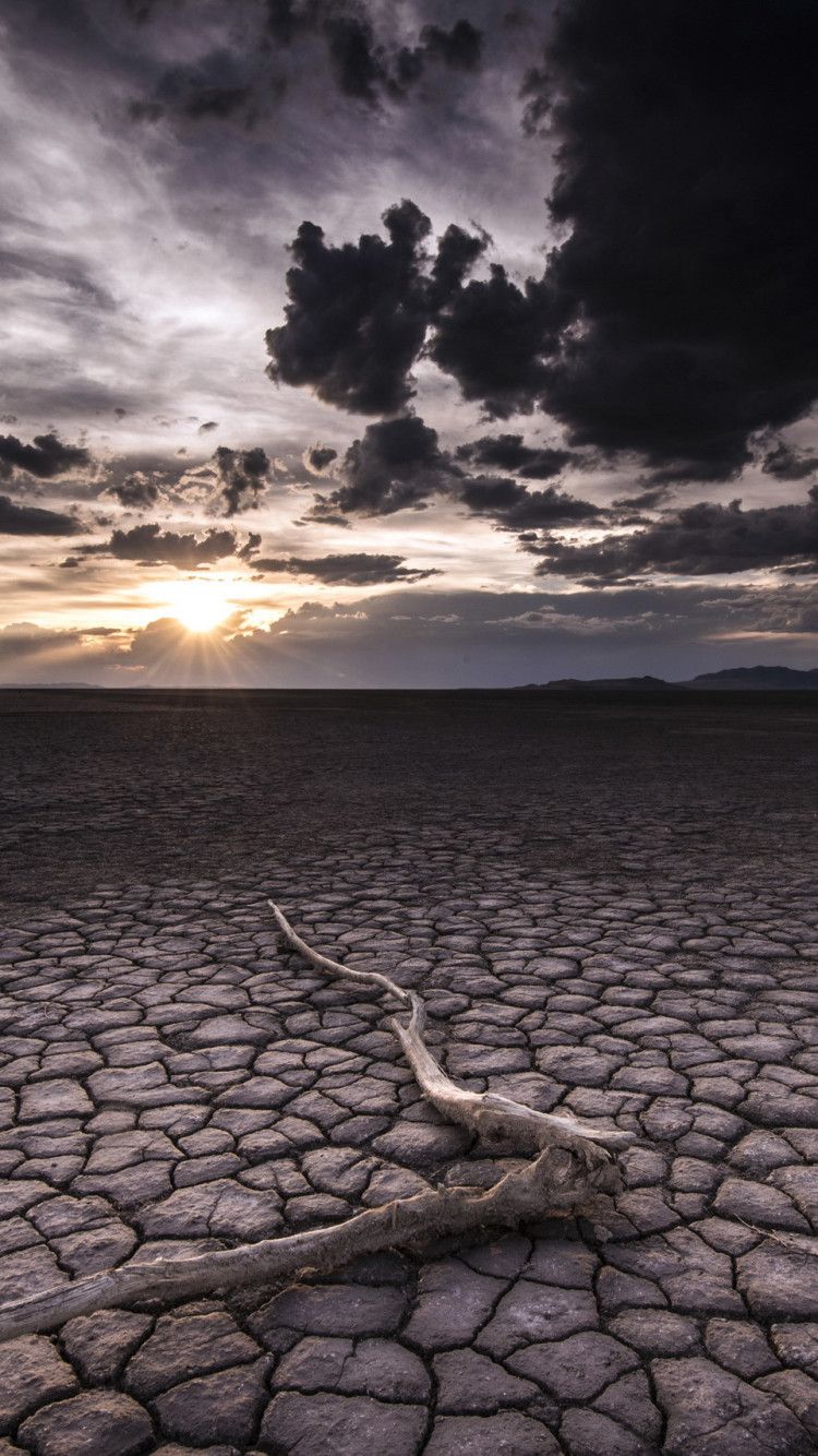 Dry Tree Clouds Sky Wallpapers - Wallpaper Cave