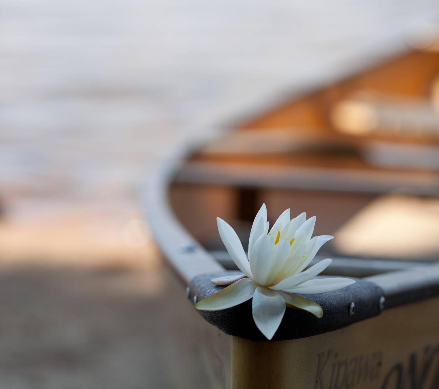 Canoe In Spring Wallpapers - Wallpaper Cave