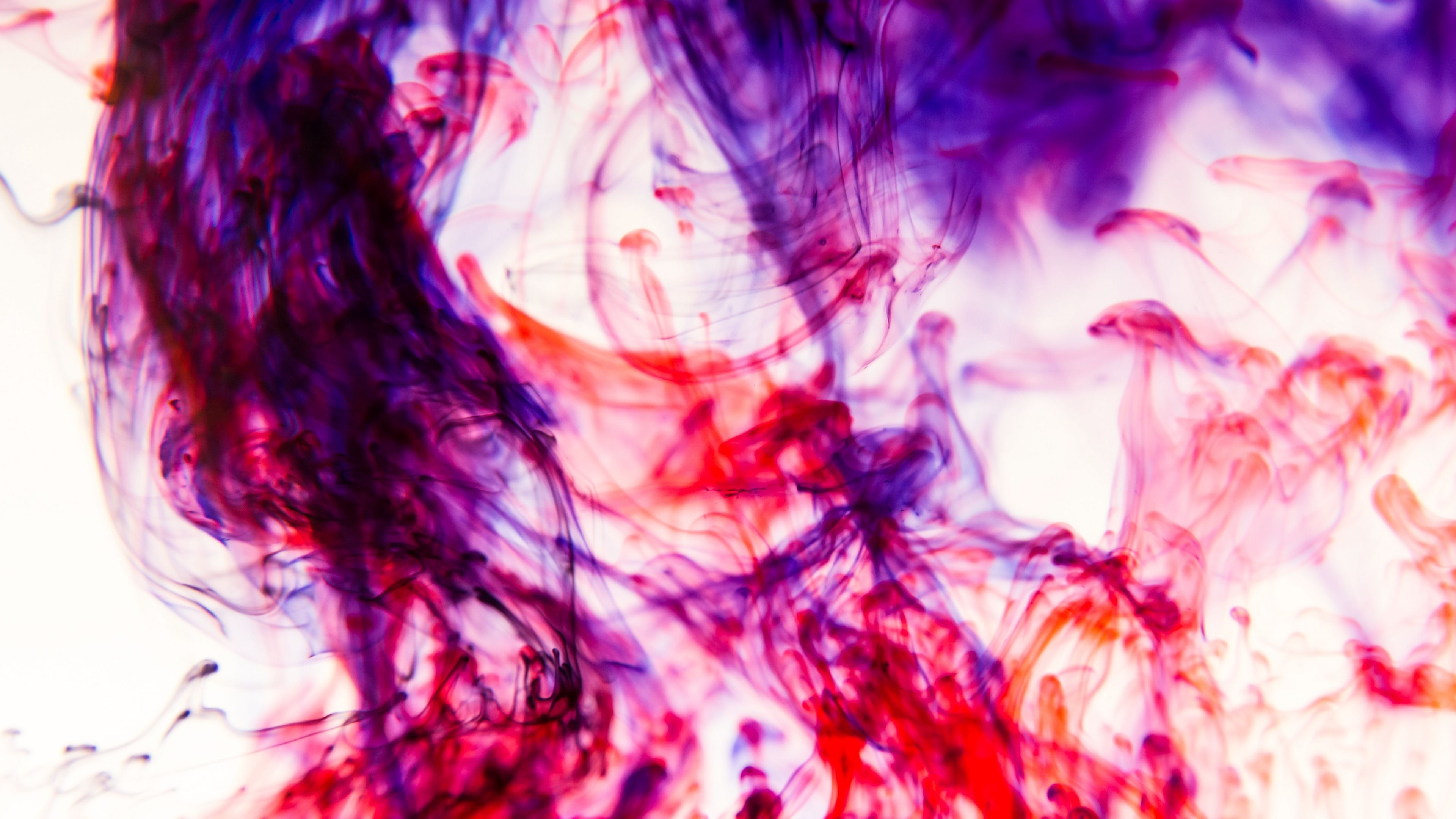 Colorful Dispersion HD Wallpapers - Wallpaper Cave