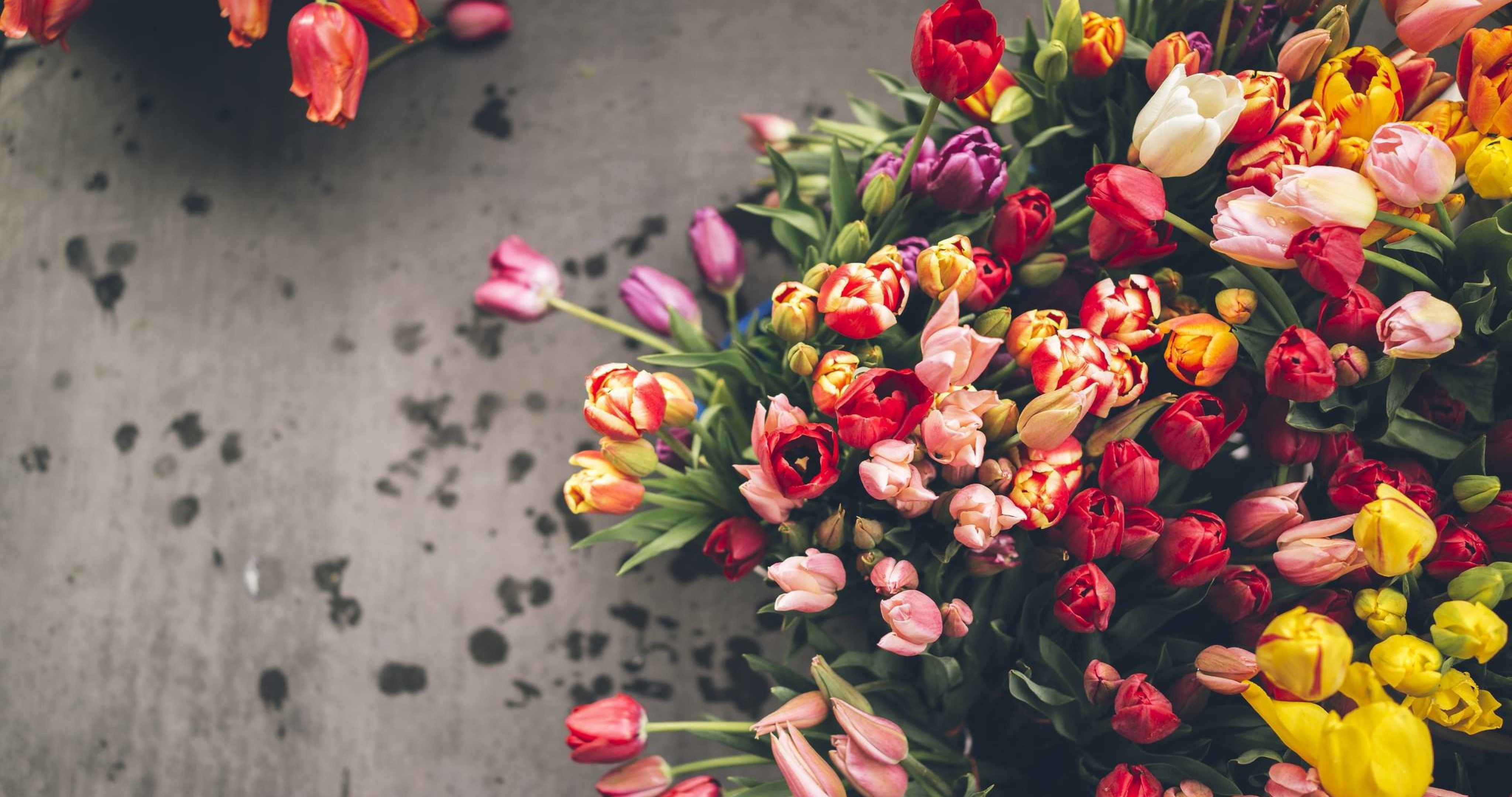 Spring Flowers 4k HD Wallpapers - Wallpaper Cave